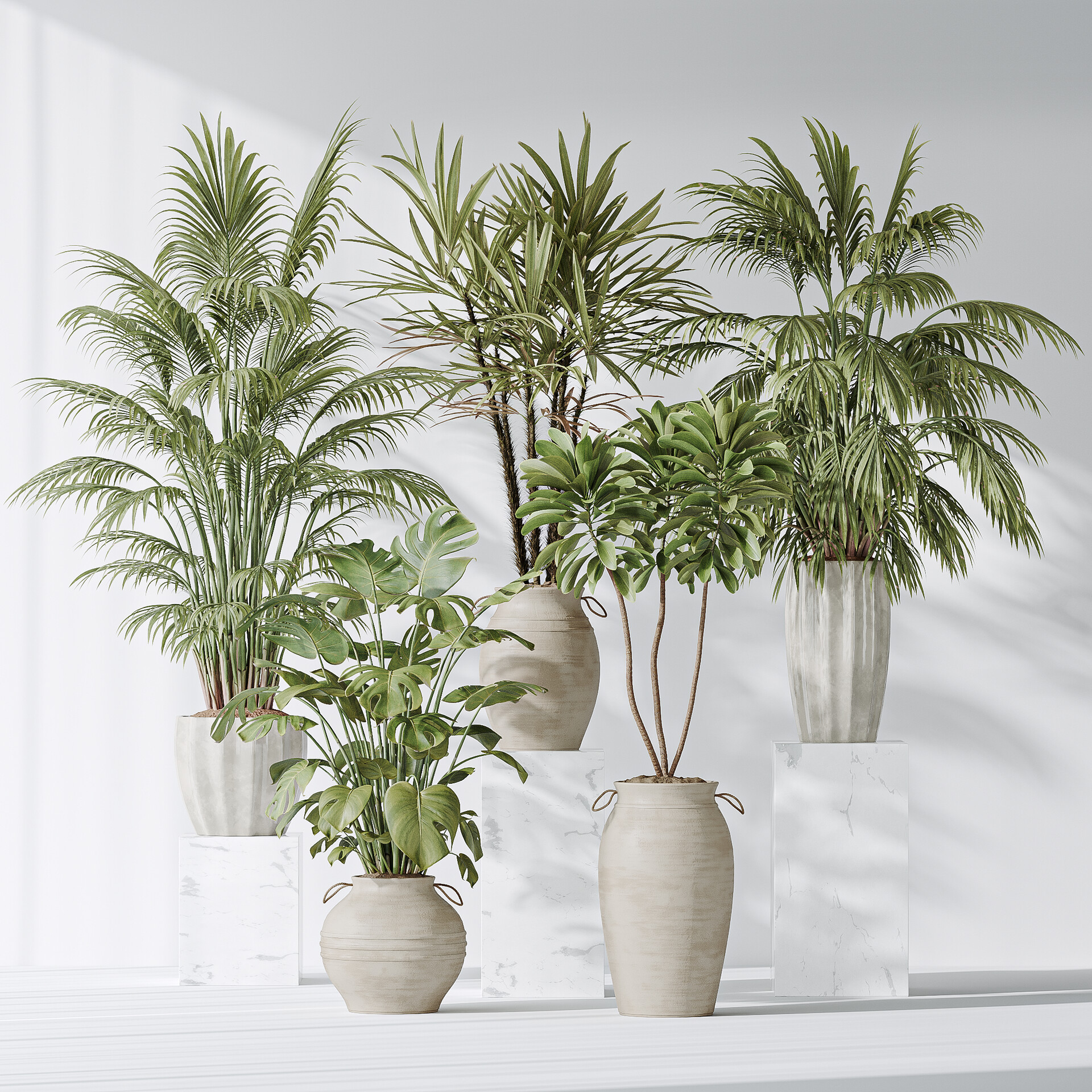 PANDORA Land - Indoor plant set 19