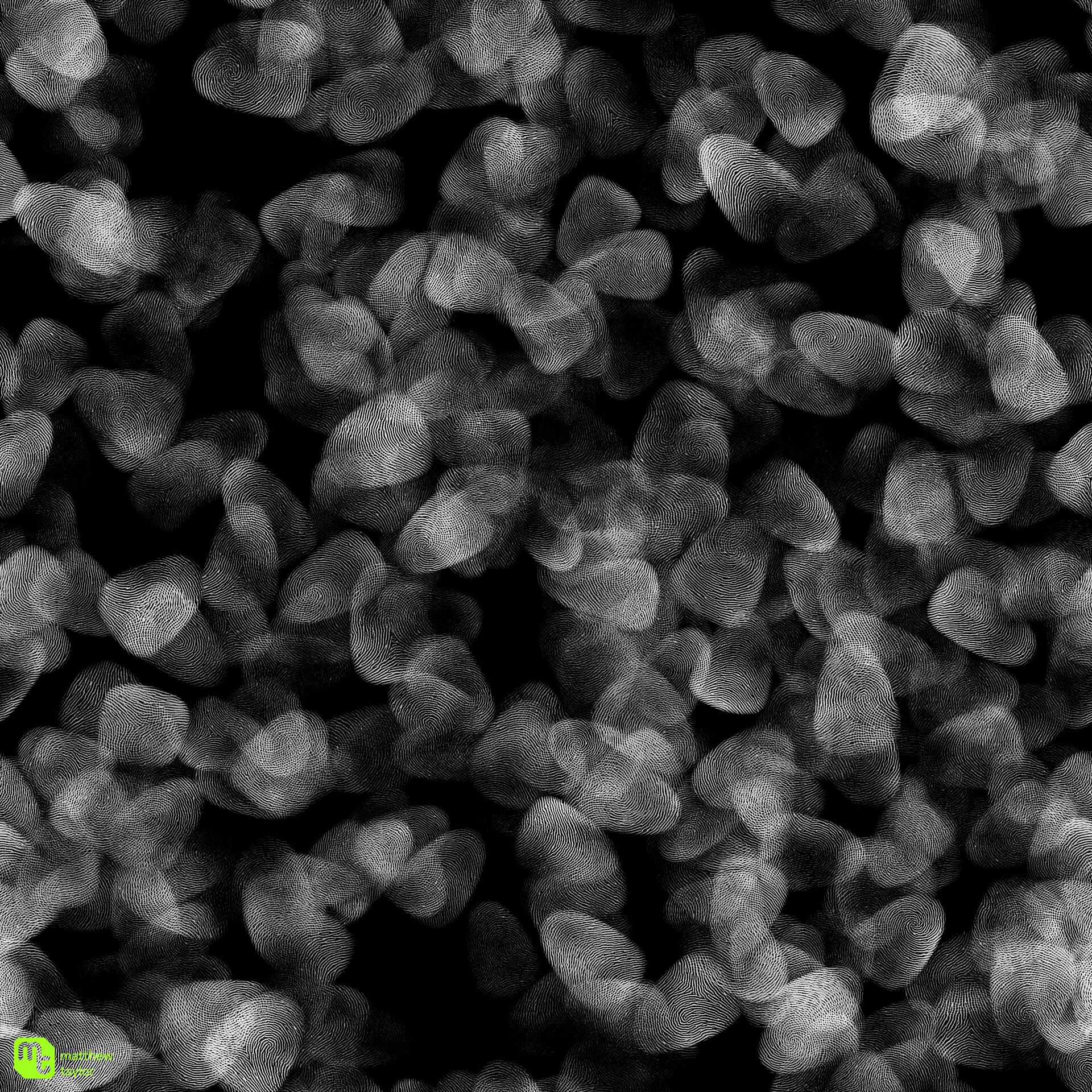 Matt Taylor's Portfolio - Procedural Fingerprints
