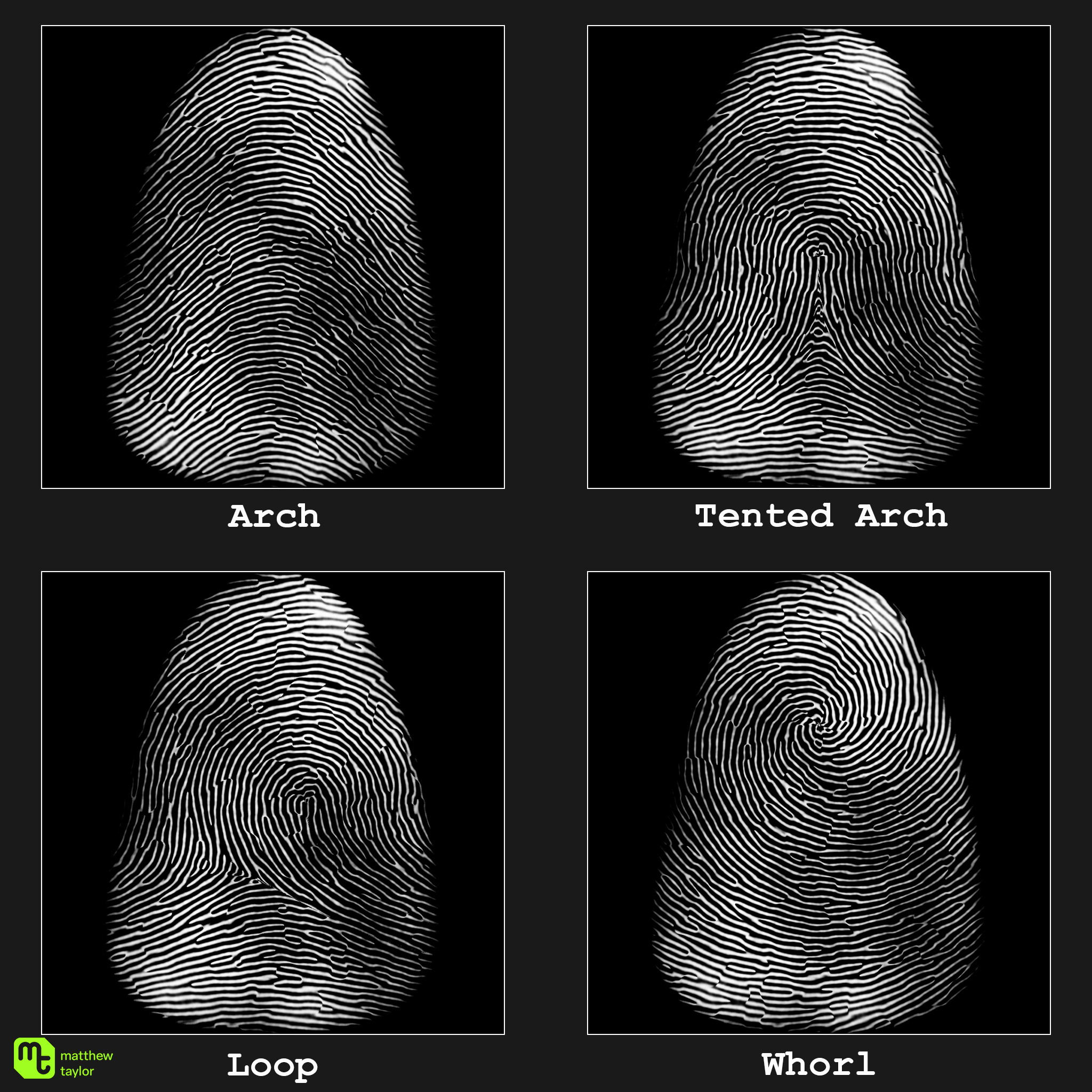 Matt Taylor's Portfolio - Procedural Fingerprints