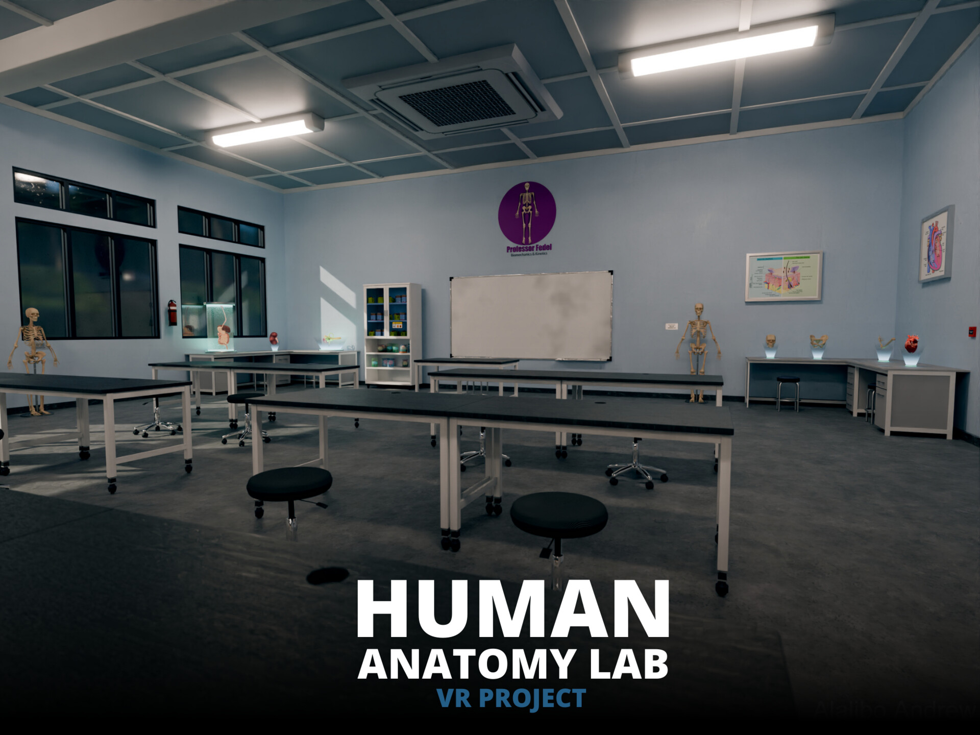 Andrew Alalibo - Human anatomy Lab (VR project)