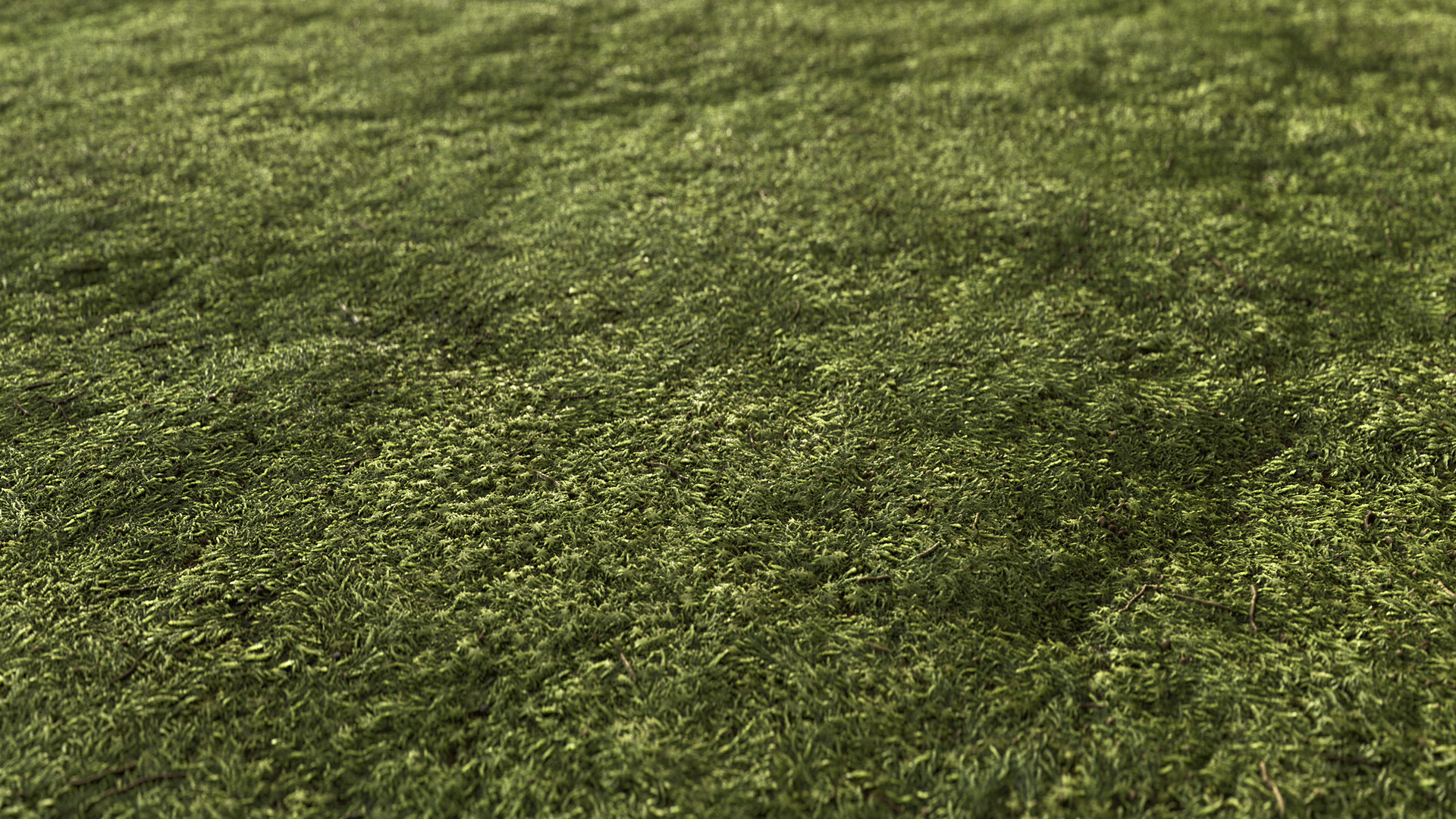 Anna Koroleva - Moss - Substance Designer