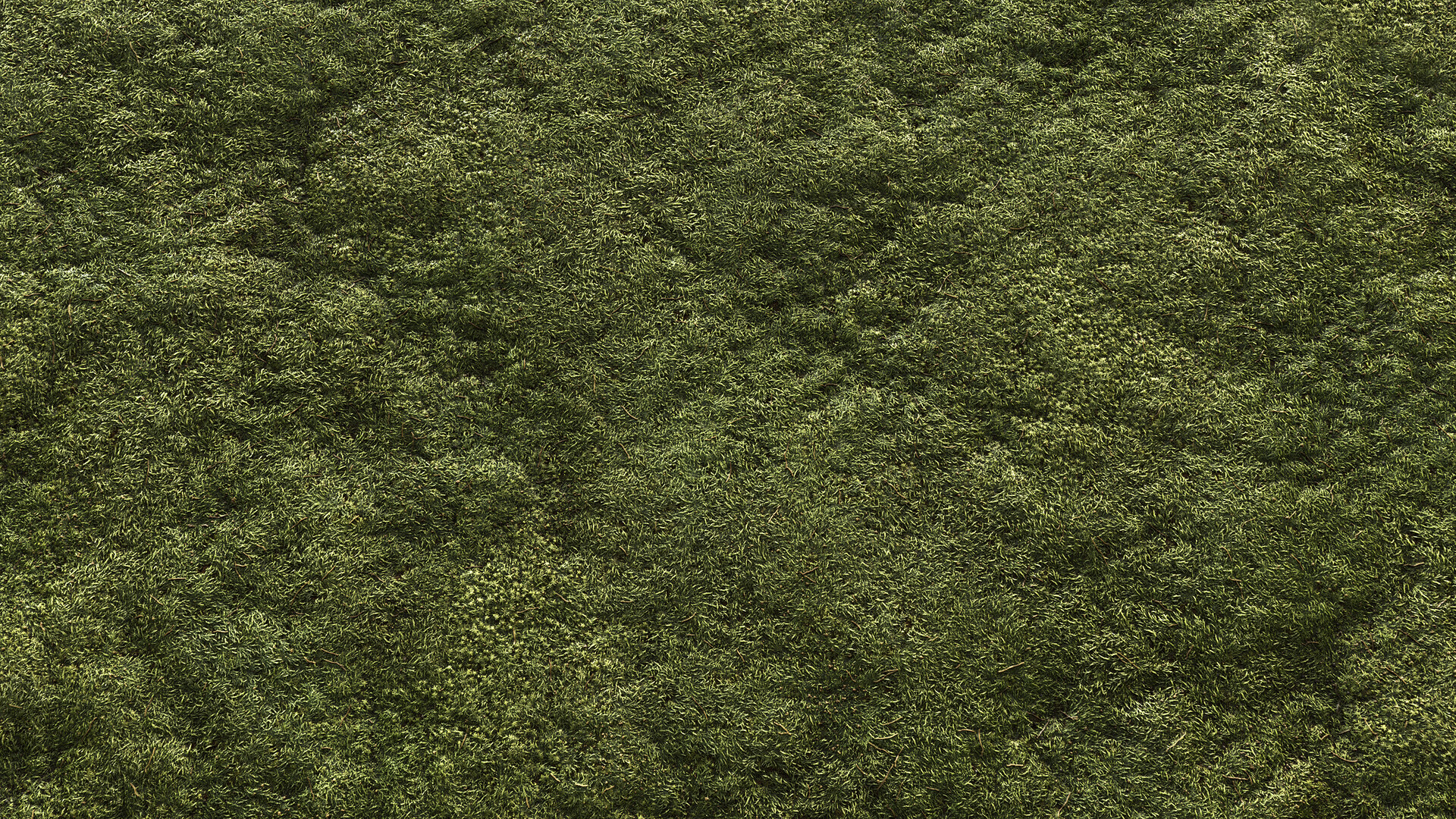 Anna Koroleva - Moss - Substance Designer