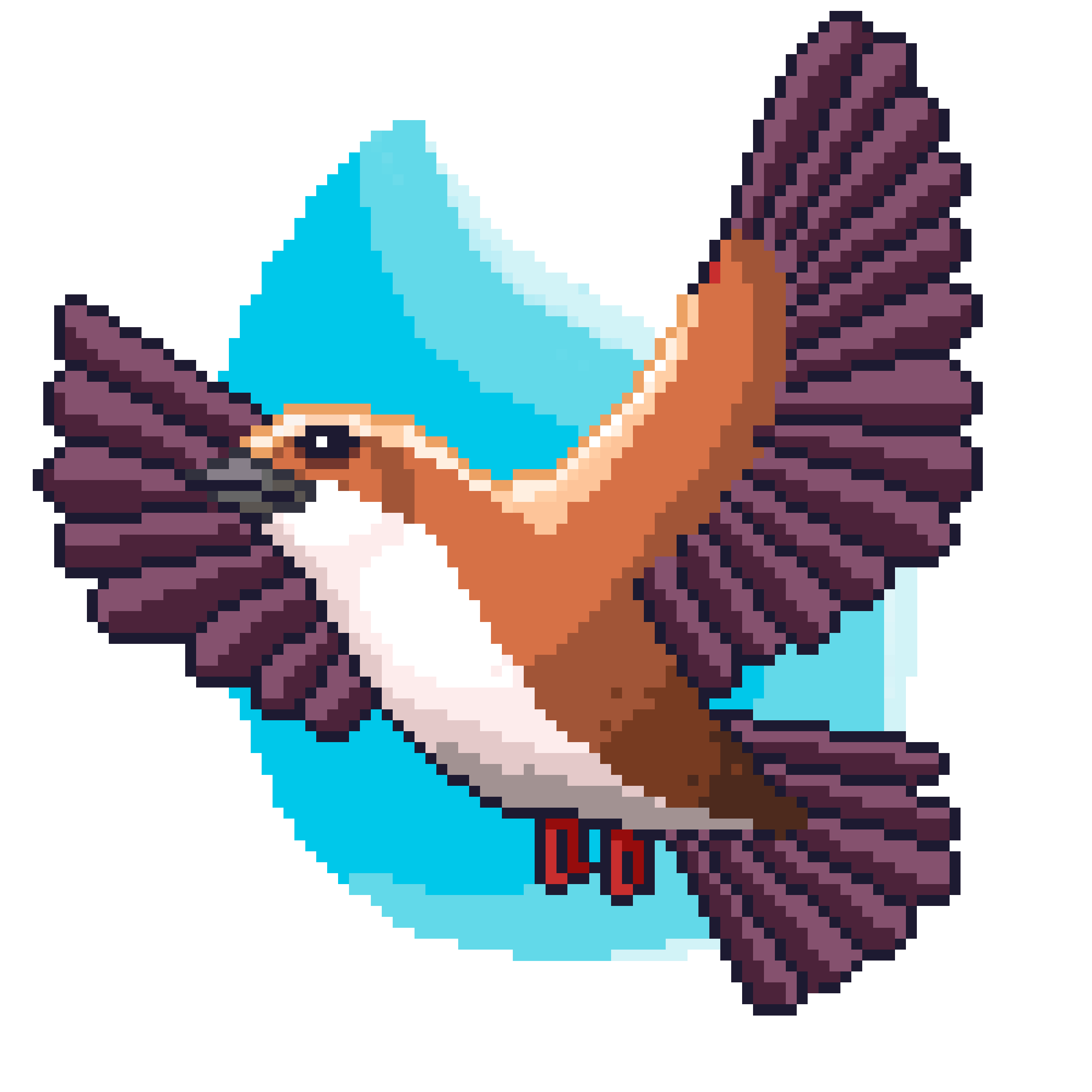 animated flying bird