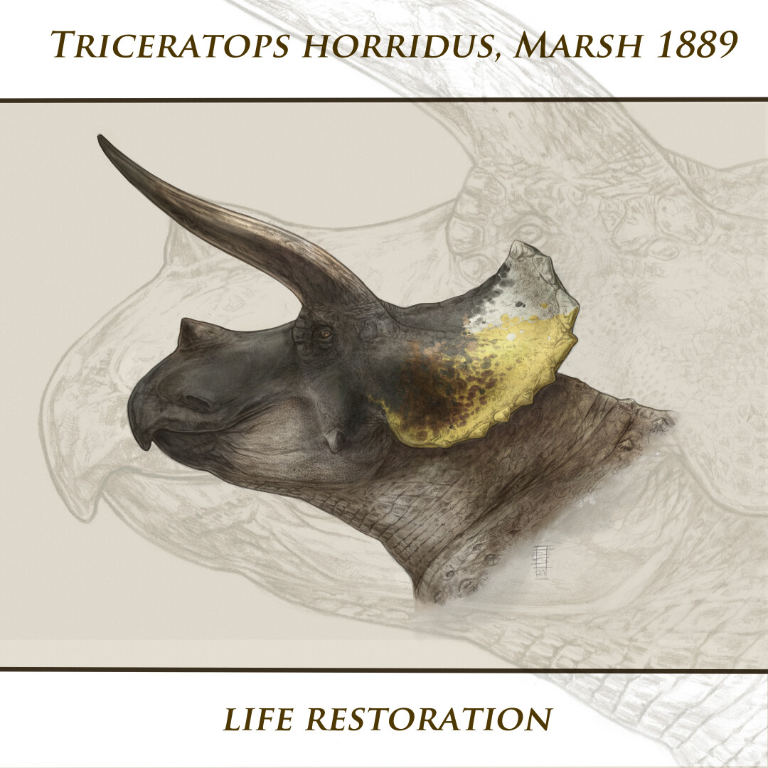 ArtStation - Study of a Three-Horned Face