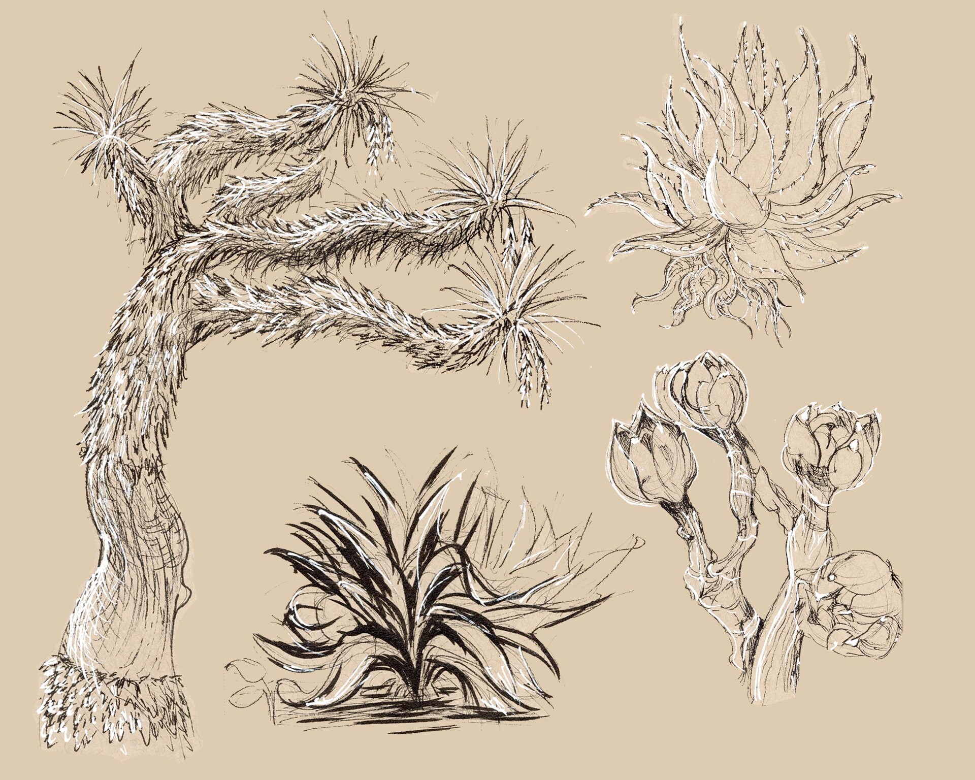 ArtStation - Dynamic Sketching [Fall 2021]- Plants