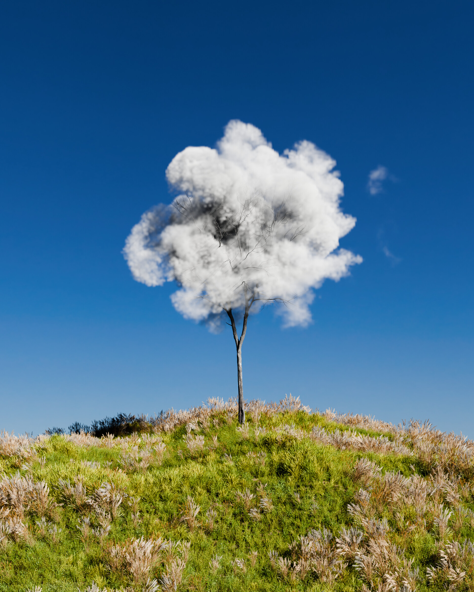 ArtStation - Cloud tree