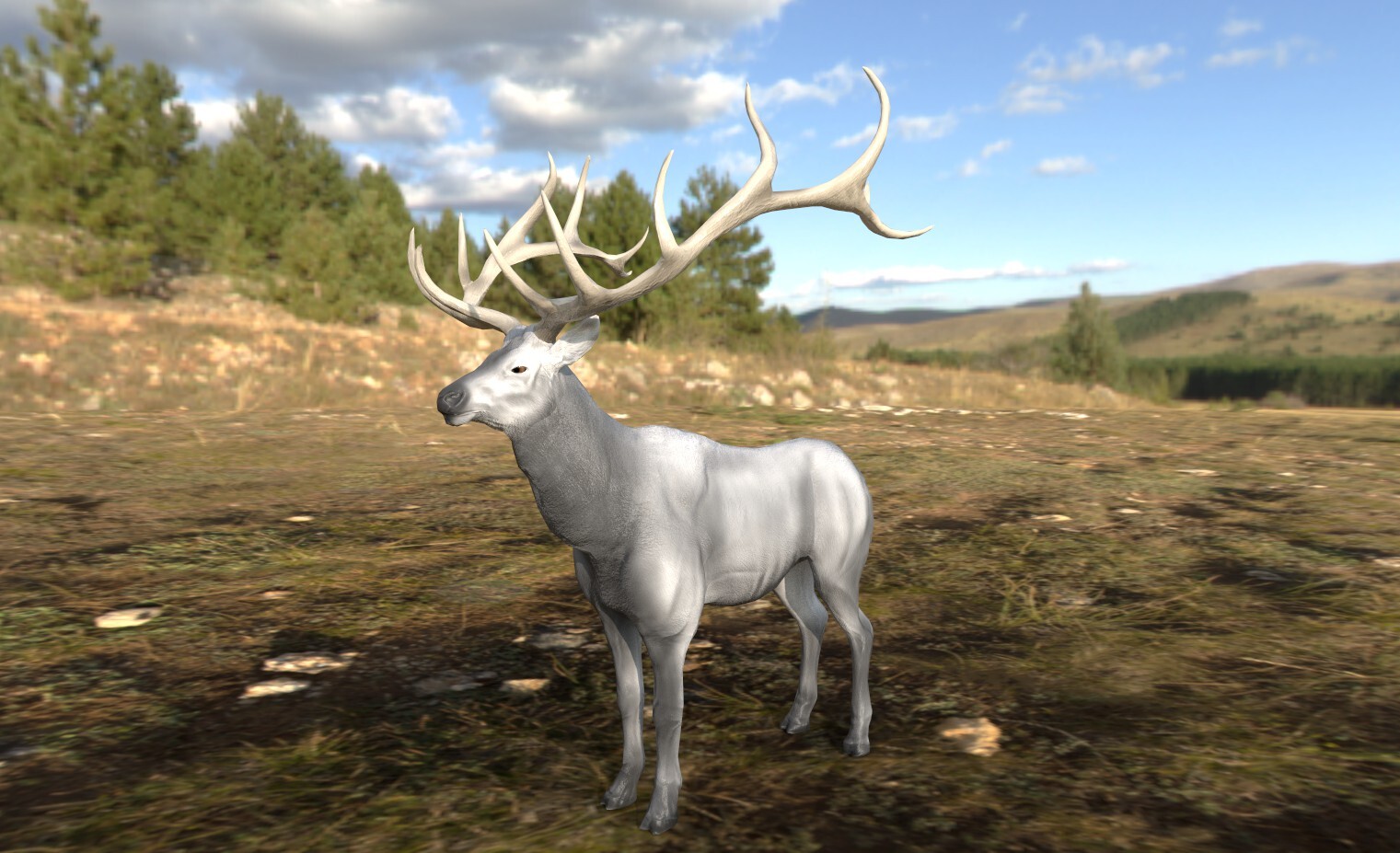 ArtStation - Red deer skin and textures
