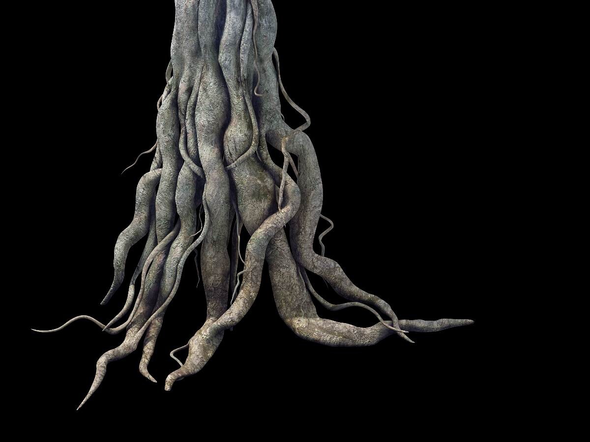 ArtStation - Game Model - Kashayana Buddha Forest Big Tree Root