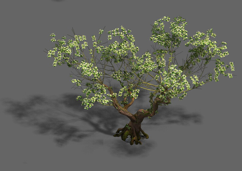 ArtStation - Plant - pear tree