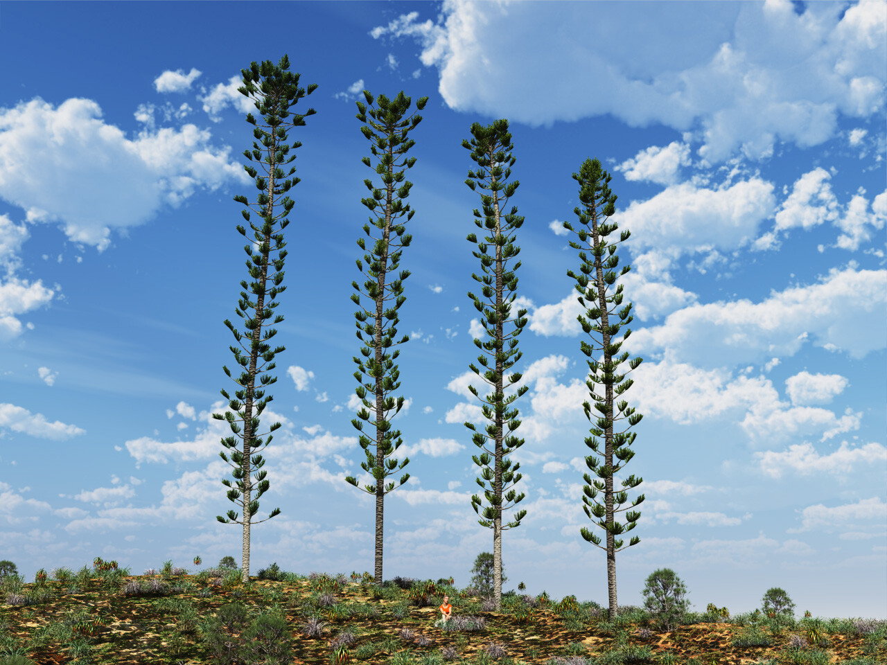 ArtStation - 3D Araucaria bernieri trees