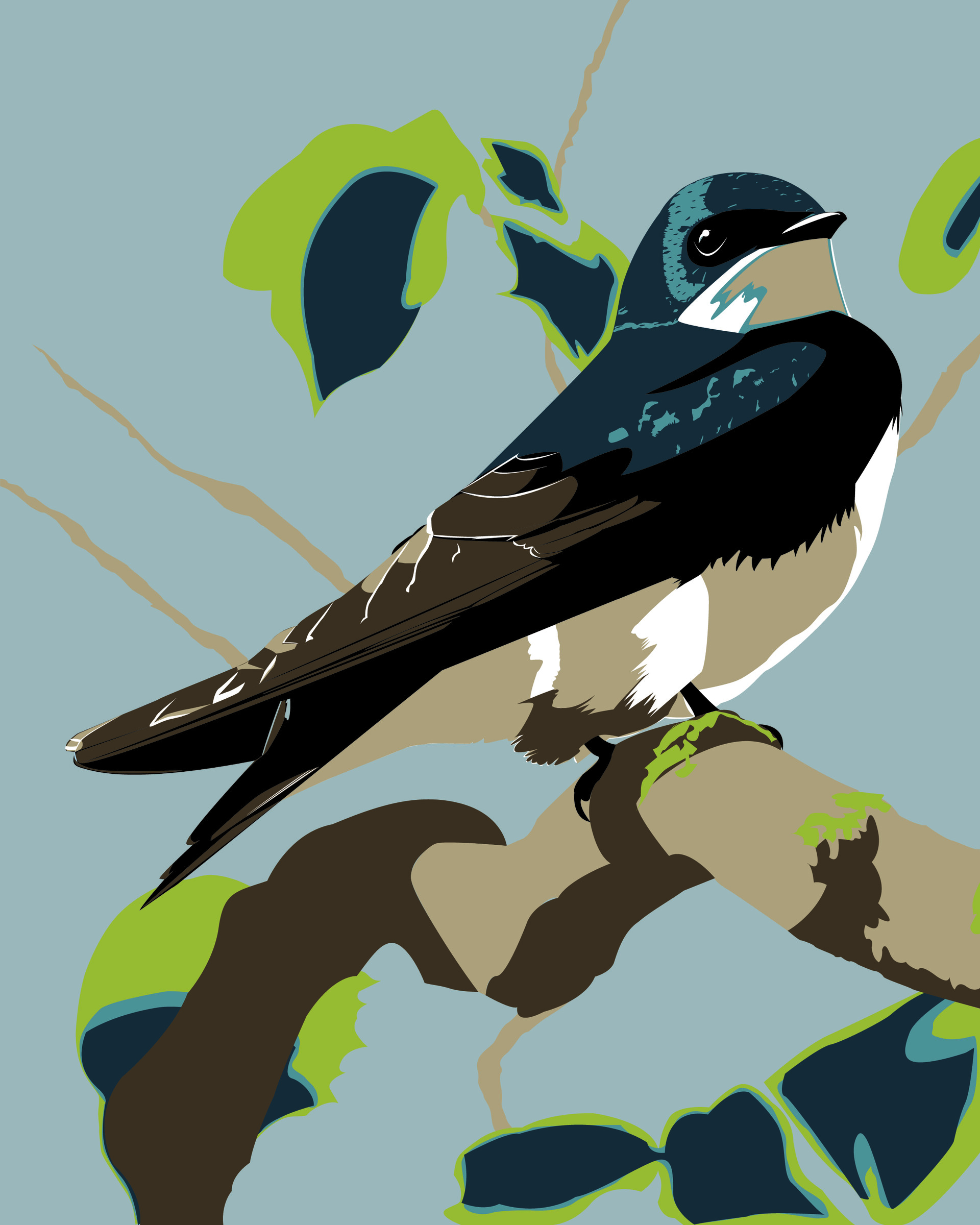 ArtStation - Tree Swallow