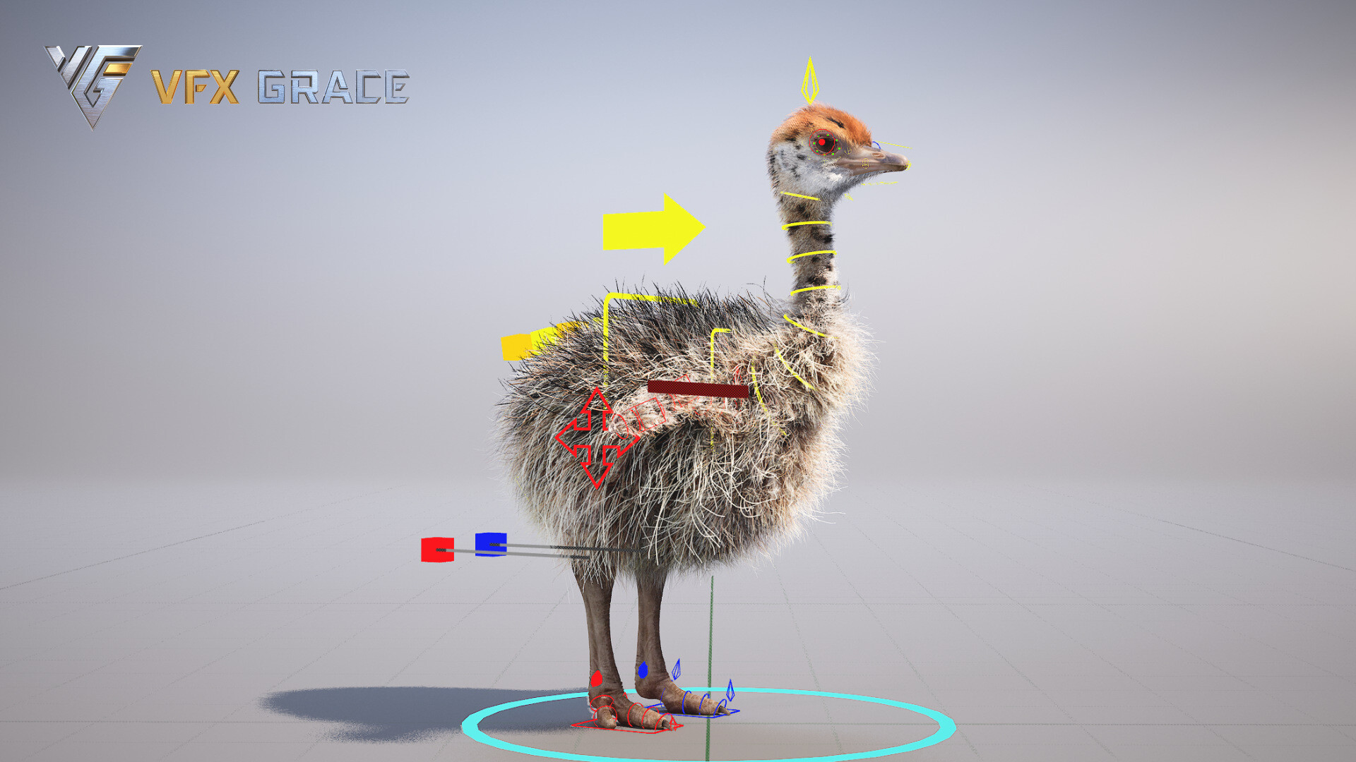 VFX models - Young Ostrich Animated - UE Character Asset