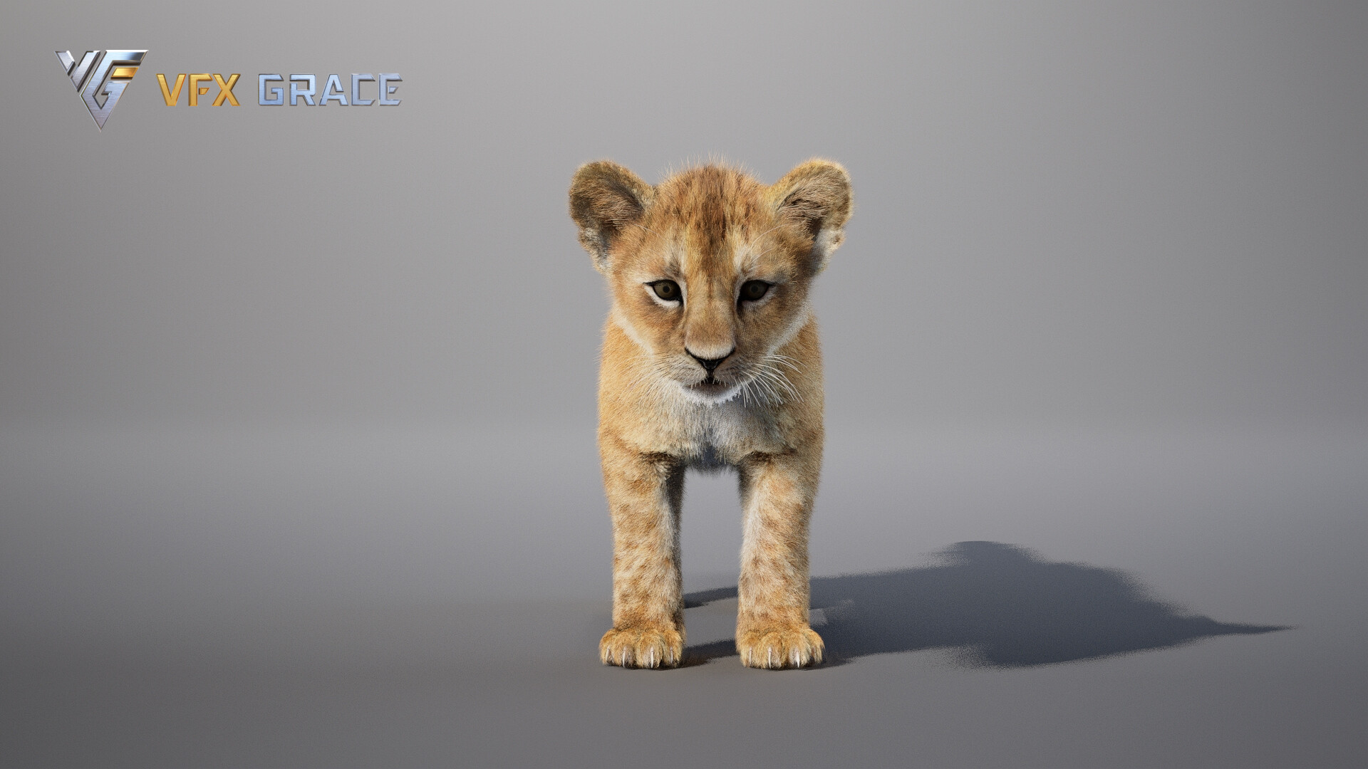 VFX models - Lion Cub Animated - UE Character Asset