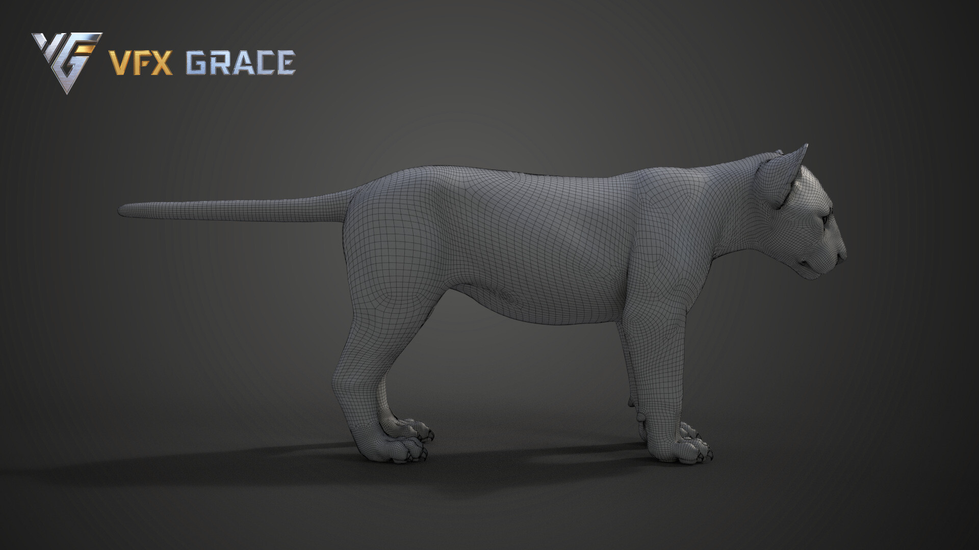 VFX models - Lion Cub Animated - UE Character Asset