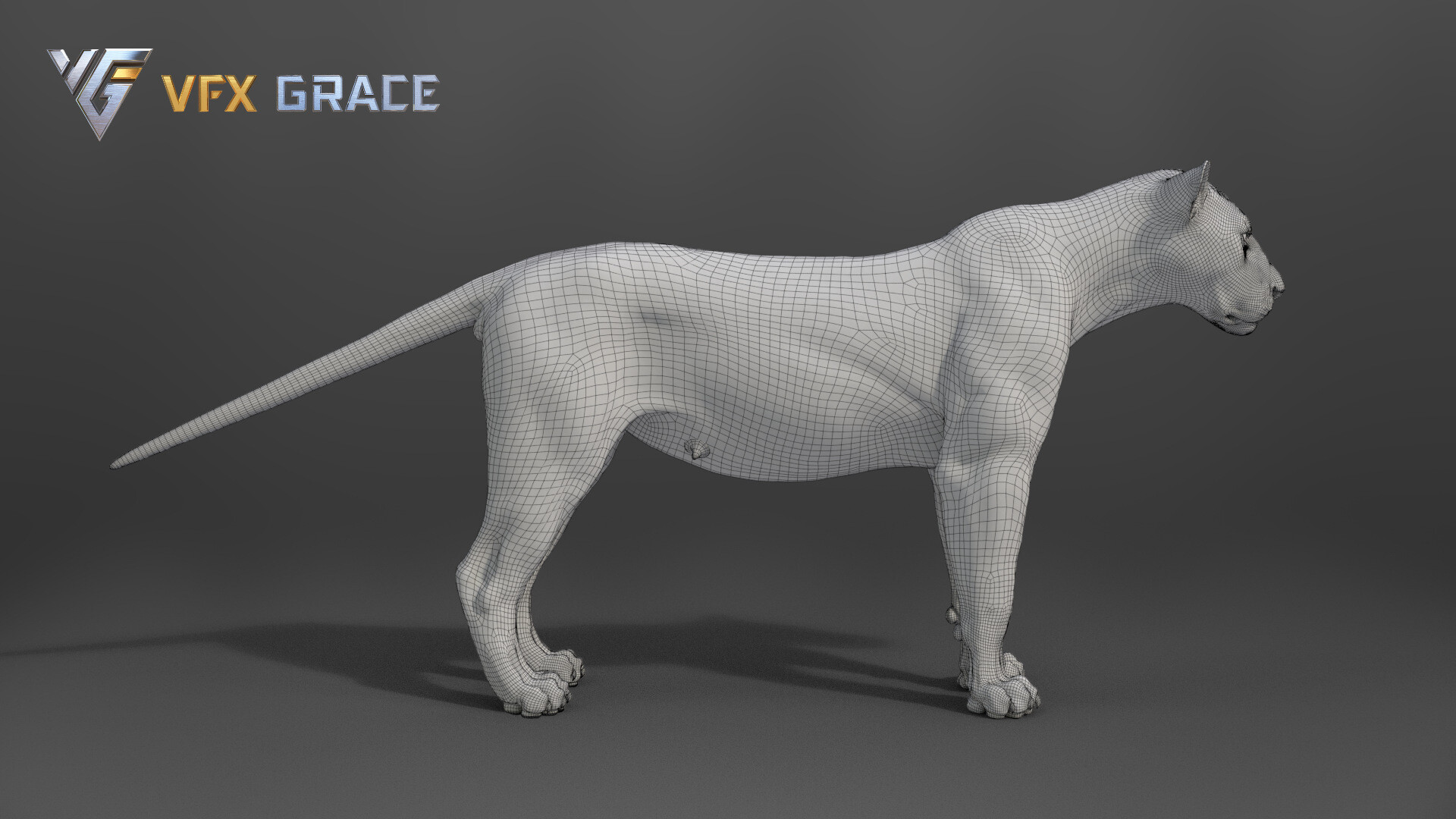 VFX models - Lioness Animated - UE Character Asset