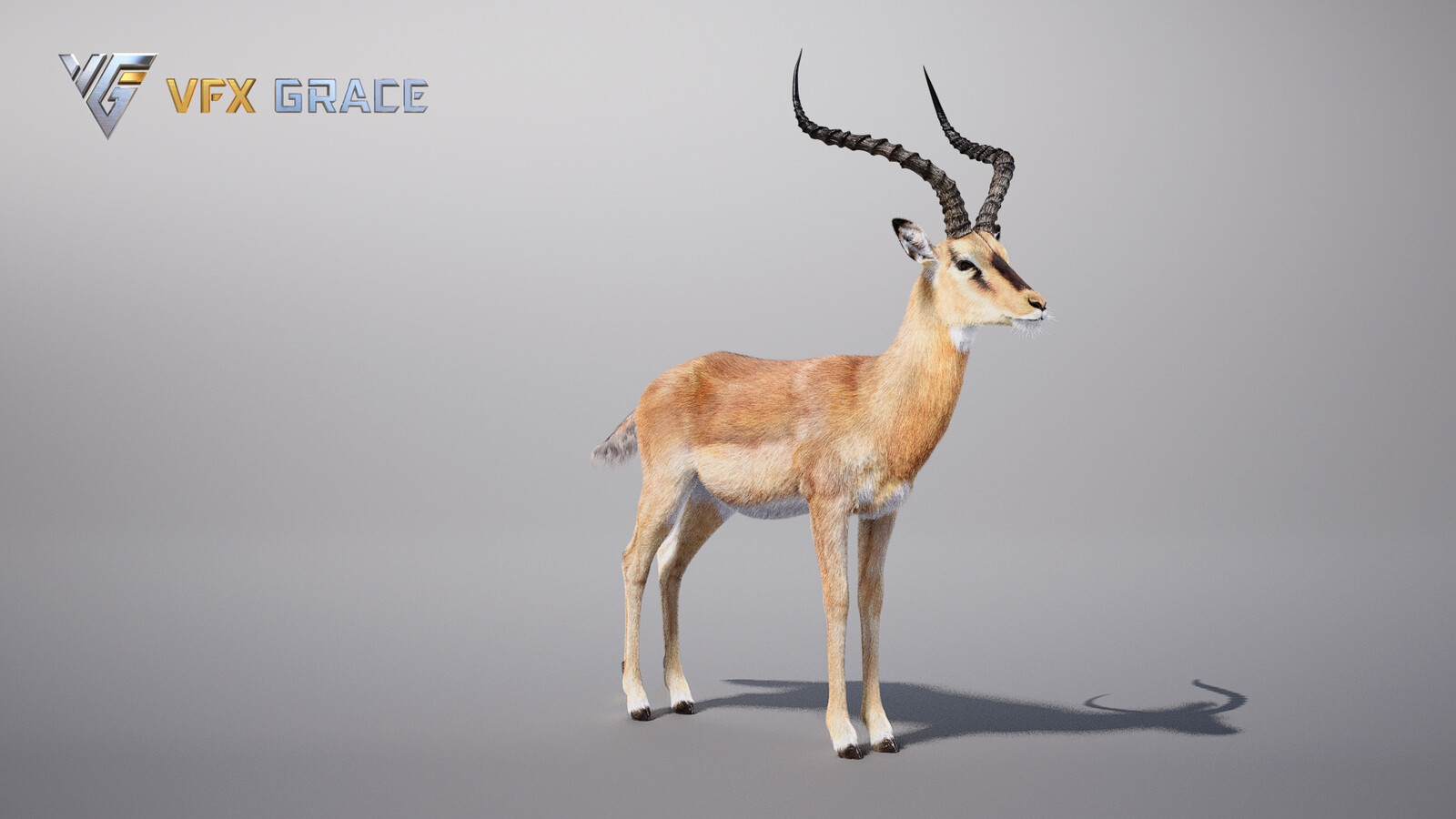 VFX models - Impala Animated - UE Character Asset
