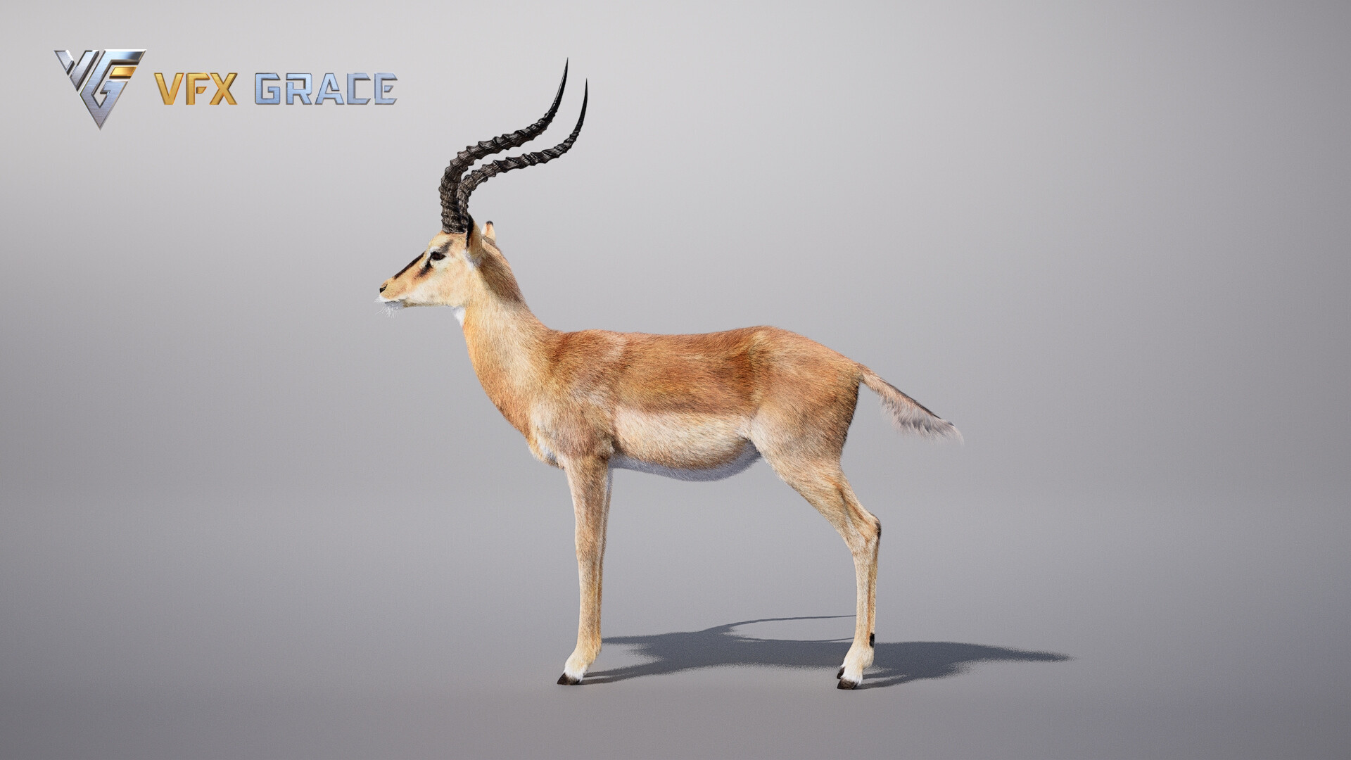 VFX models - Impala Animated - UE Character Asset