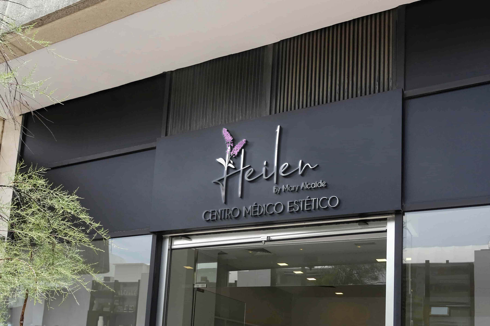 Ana-Maria Alcaide - Web and Branding design for Heilen Clinic