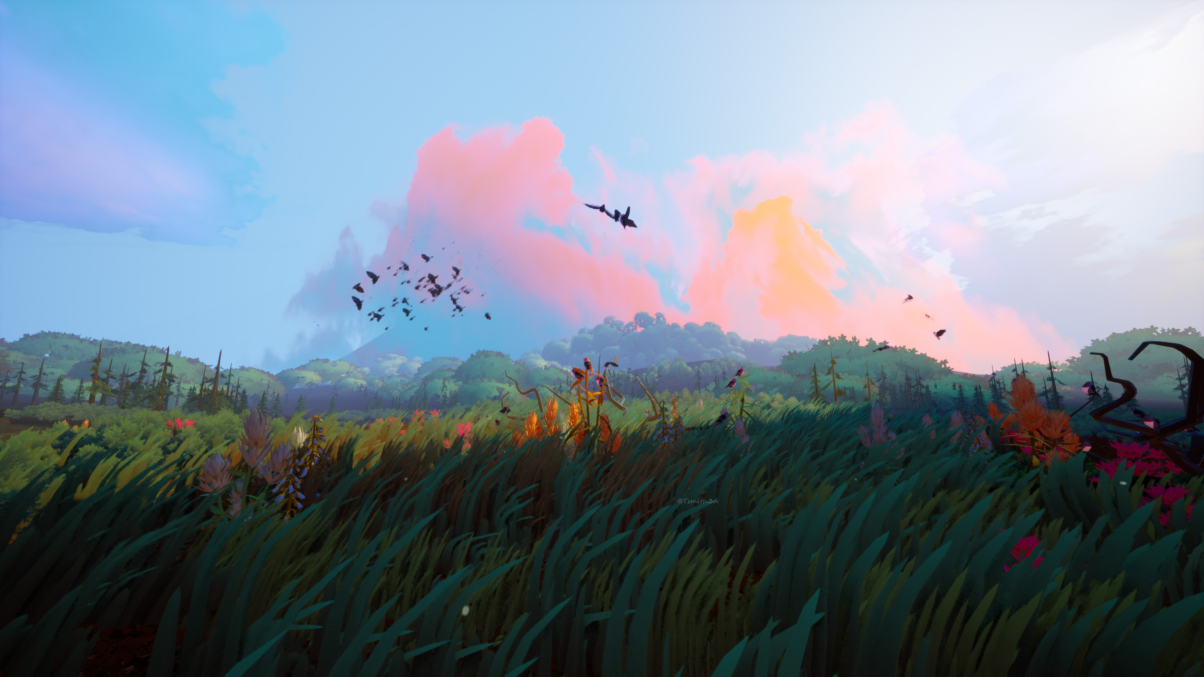 tyler-smith-fbirdsgrassfinalrenders03.jpg?1709046366 (1.07 MB,3840*2160)