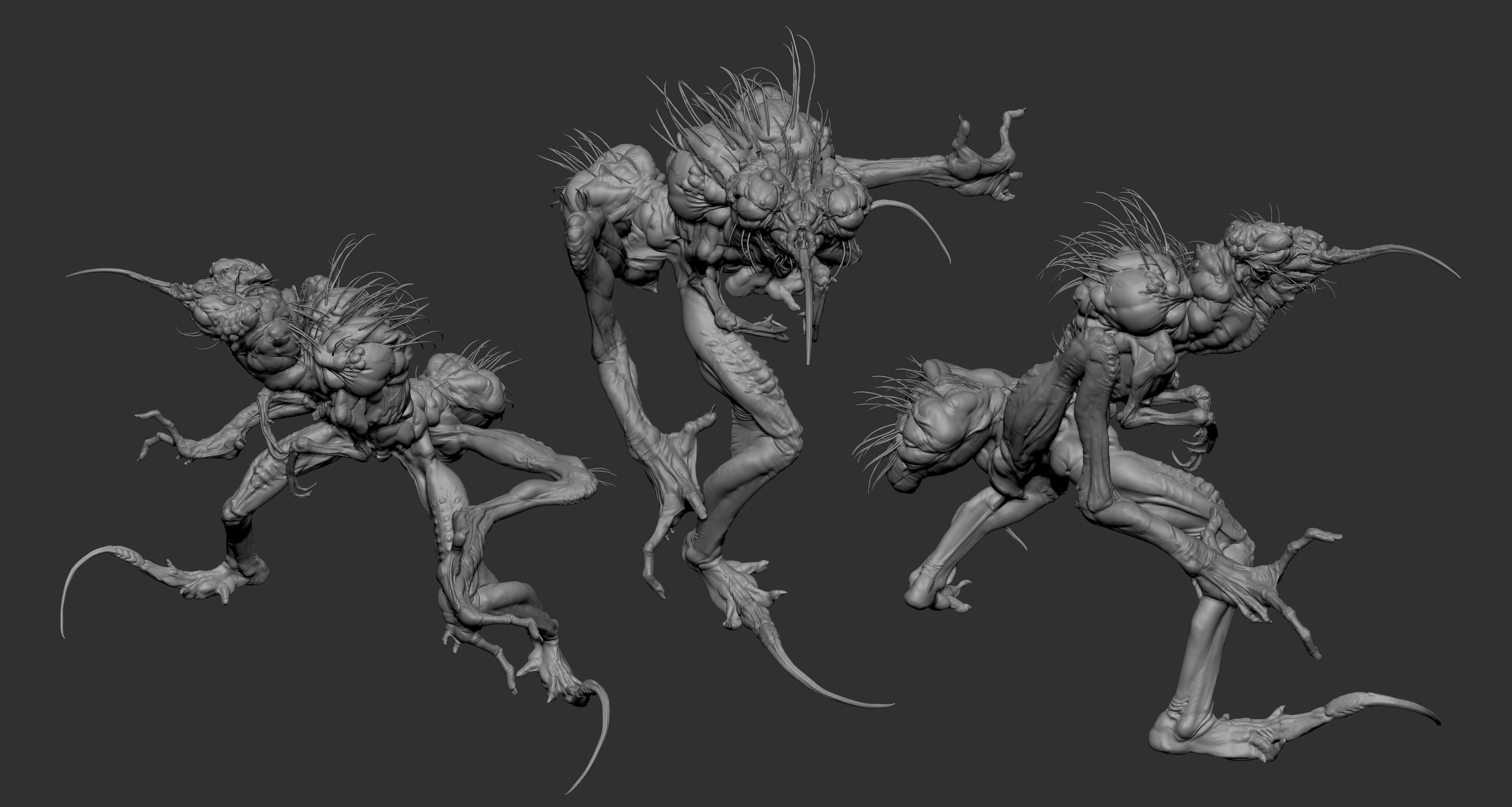 Camille Bachmann - Zangvebar Lesser Vampire