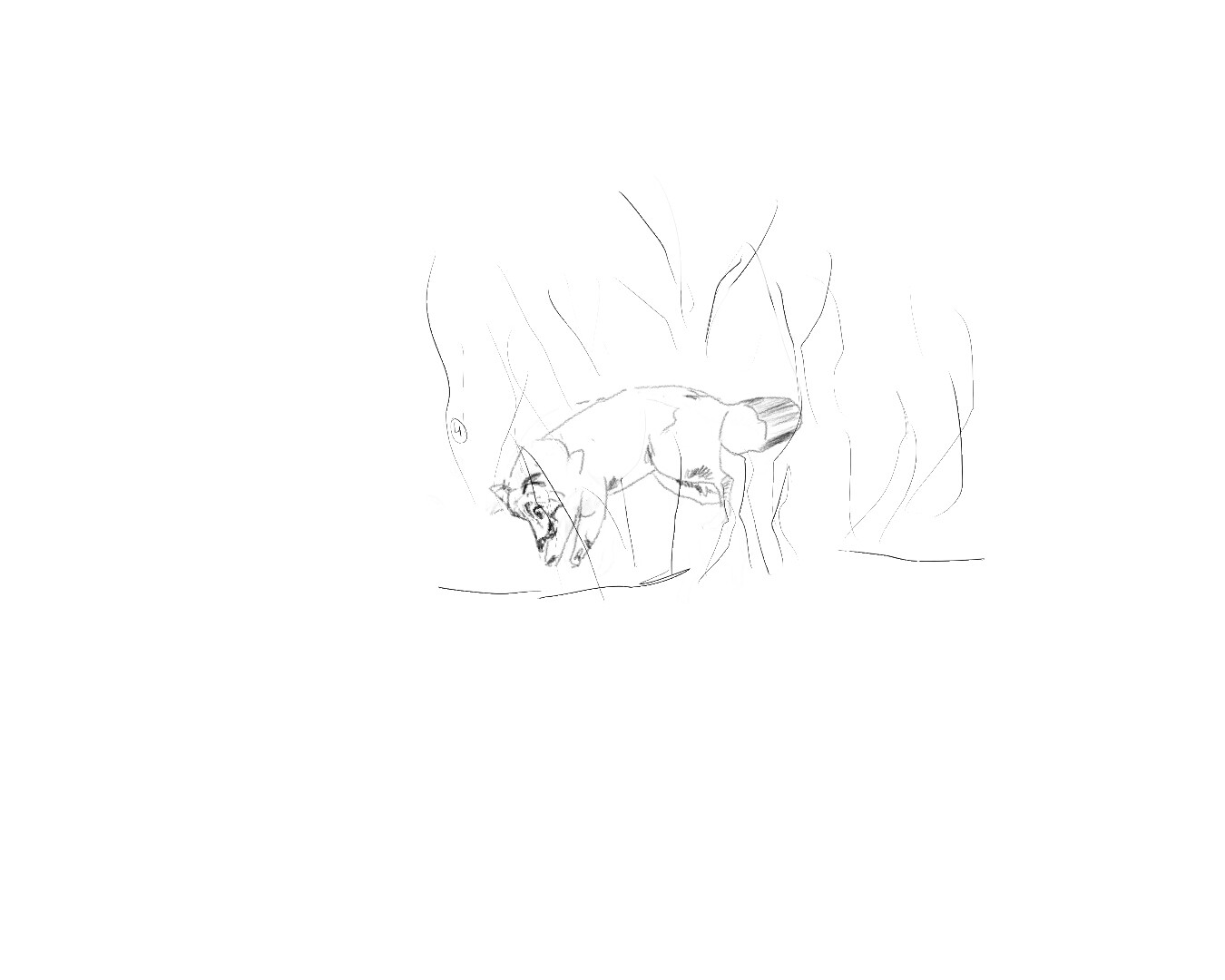 Jay Katve - Wild dog jump rough animation