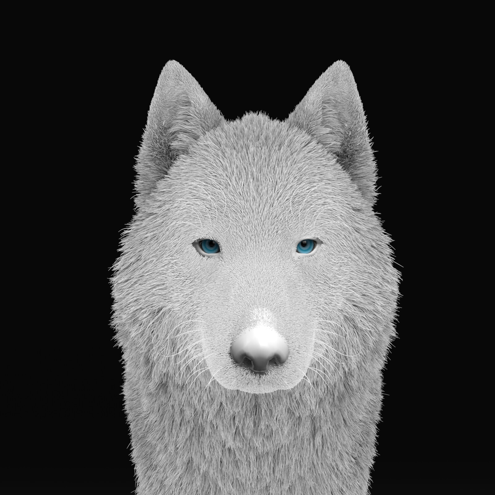 Safal Uplavikar - Wolf Xgen groom