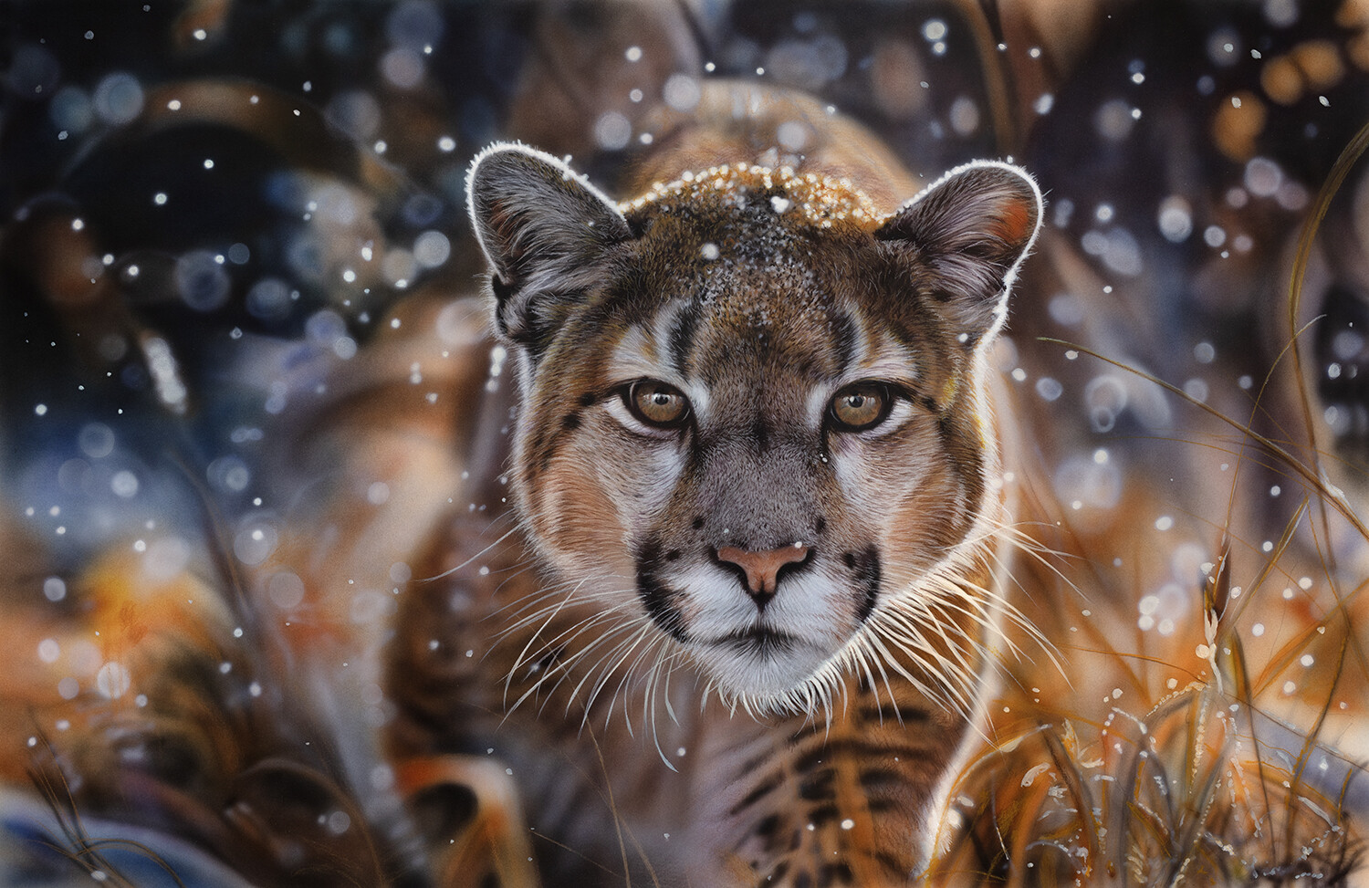 ArtStation - "You look delicious" - Acrylic on paper