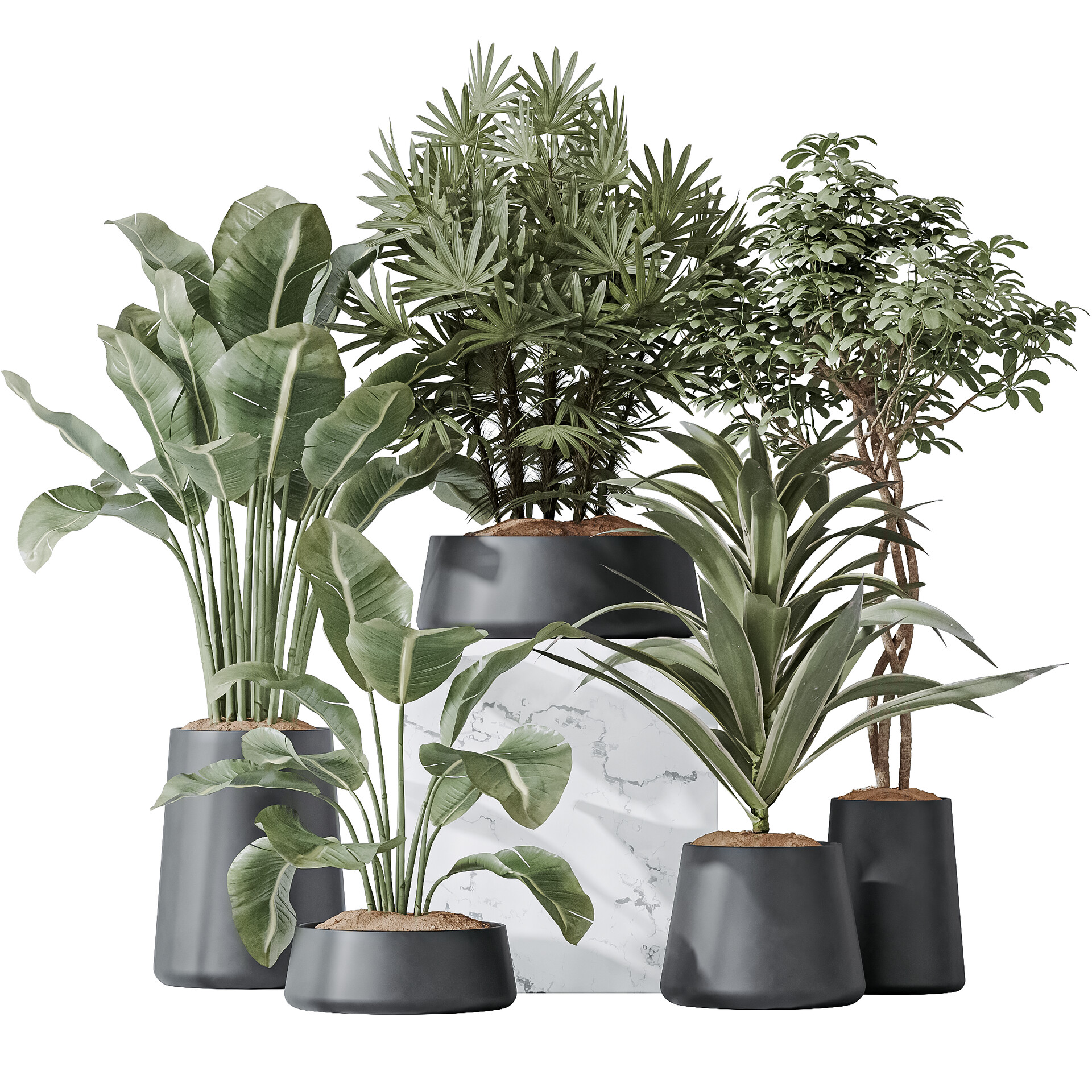 ArtStation - Indoor plant set 26