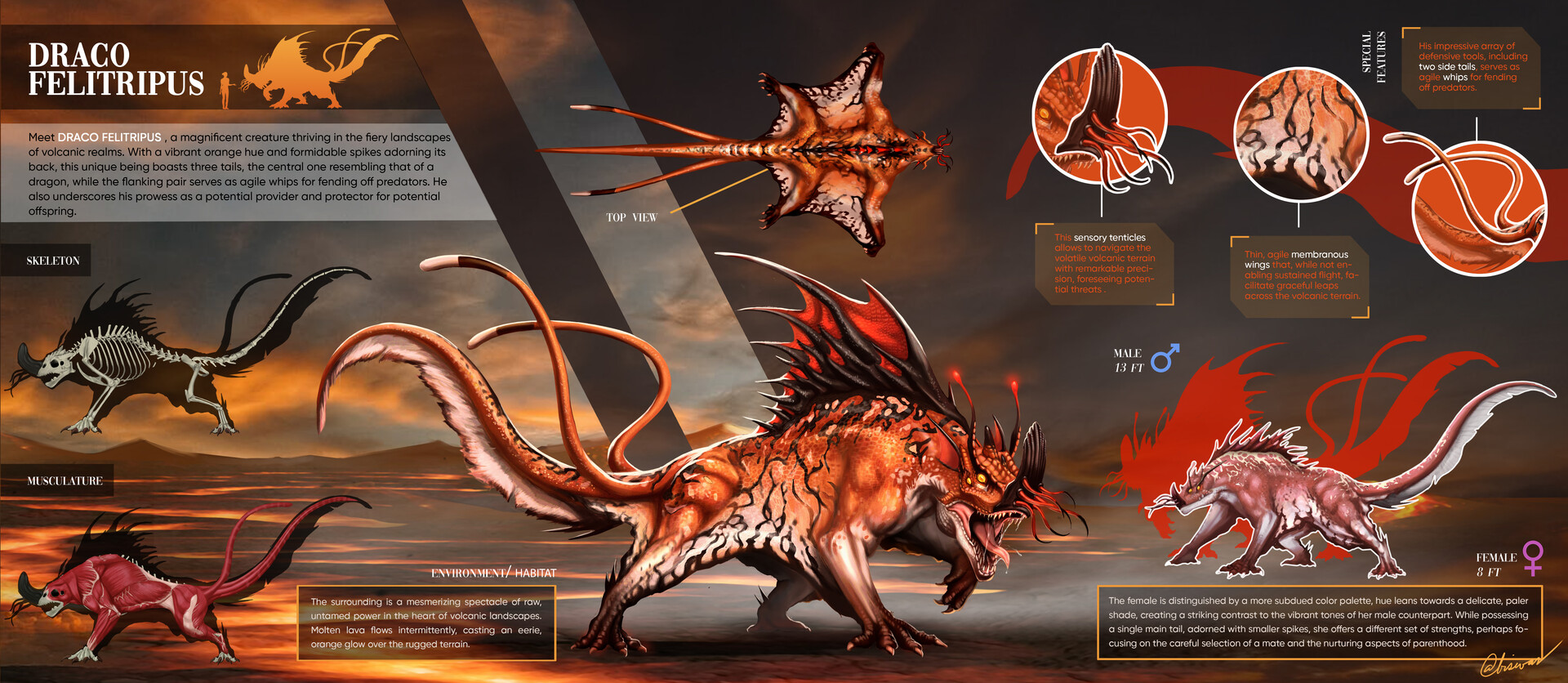 ArtStation - Creature Design