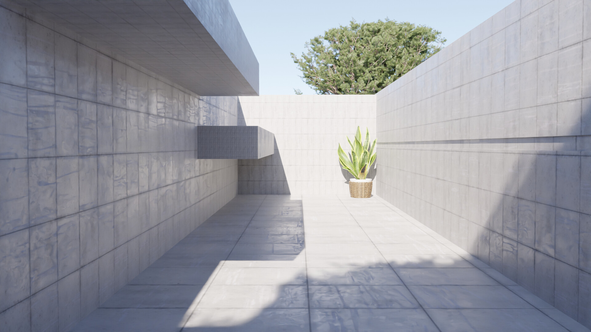 ArtStation - Light Study