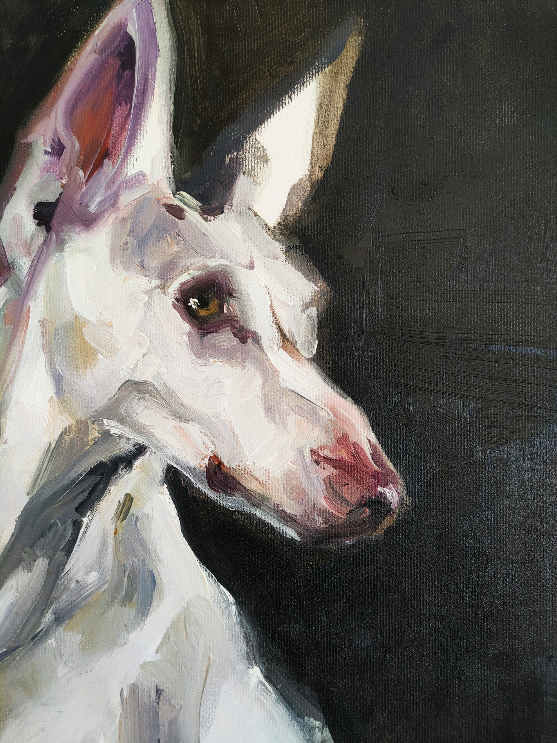 ArtStation - ''White Anubis'', work in progress