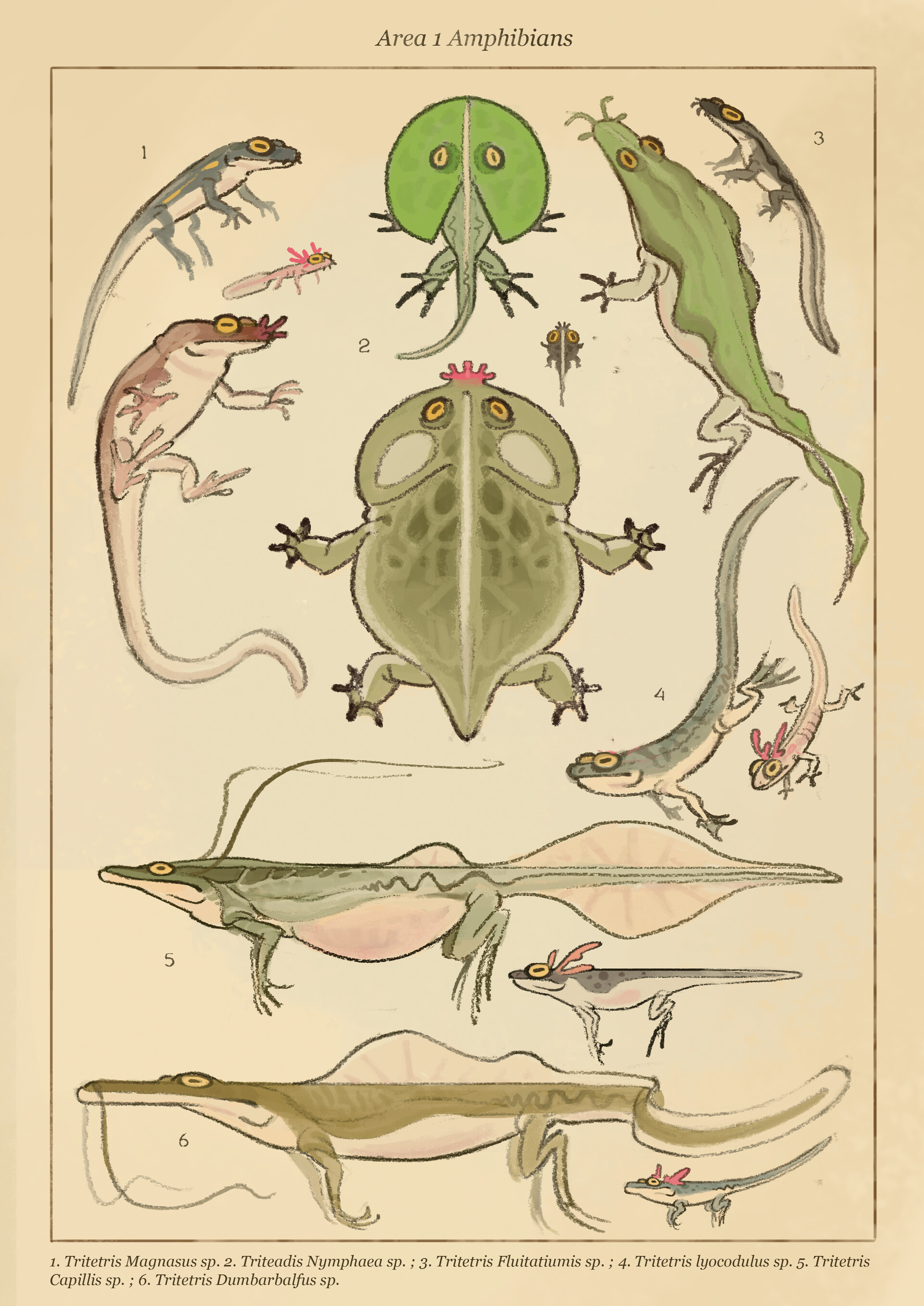 ArtStation - Creature concepts