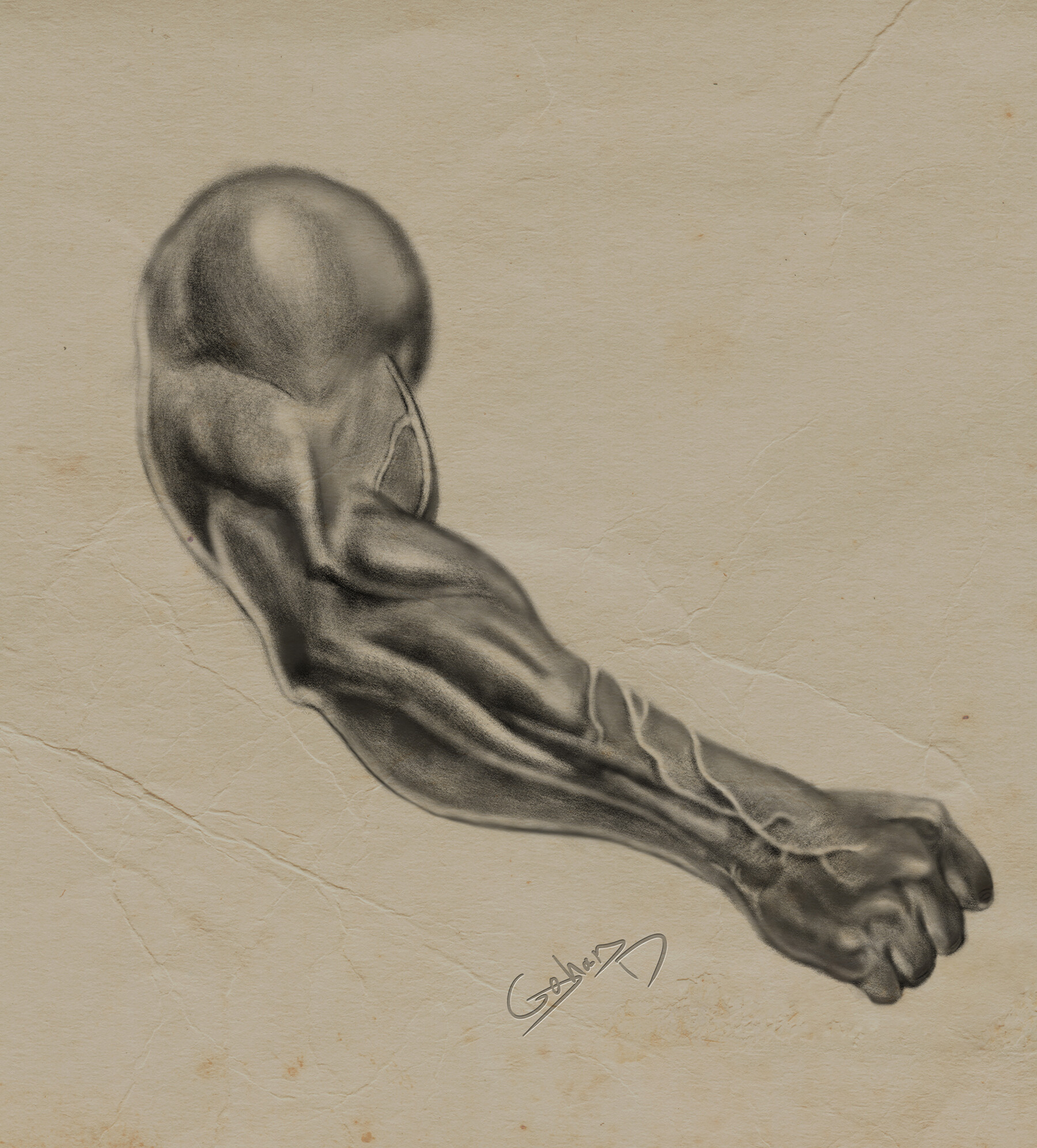 Muscular Arm Art