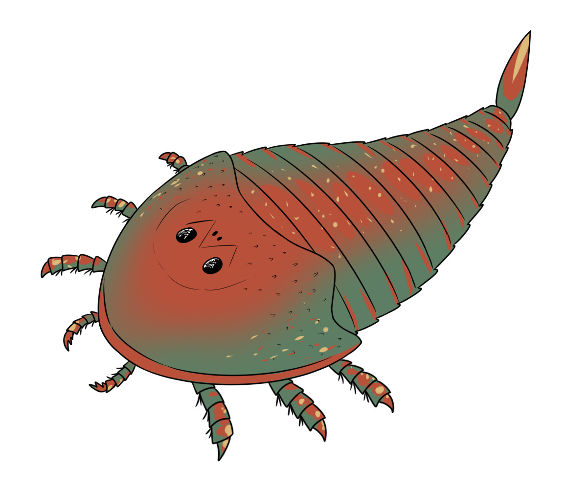 ArtStation - Projekt : Lost - Hibbertopterus scouleri