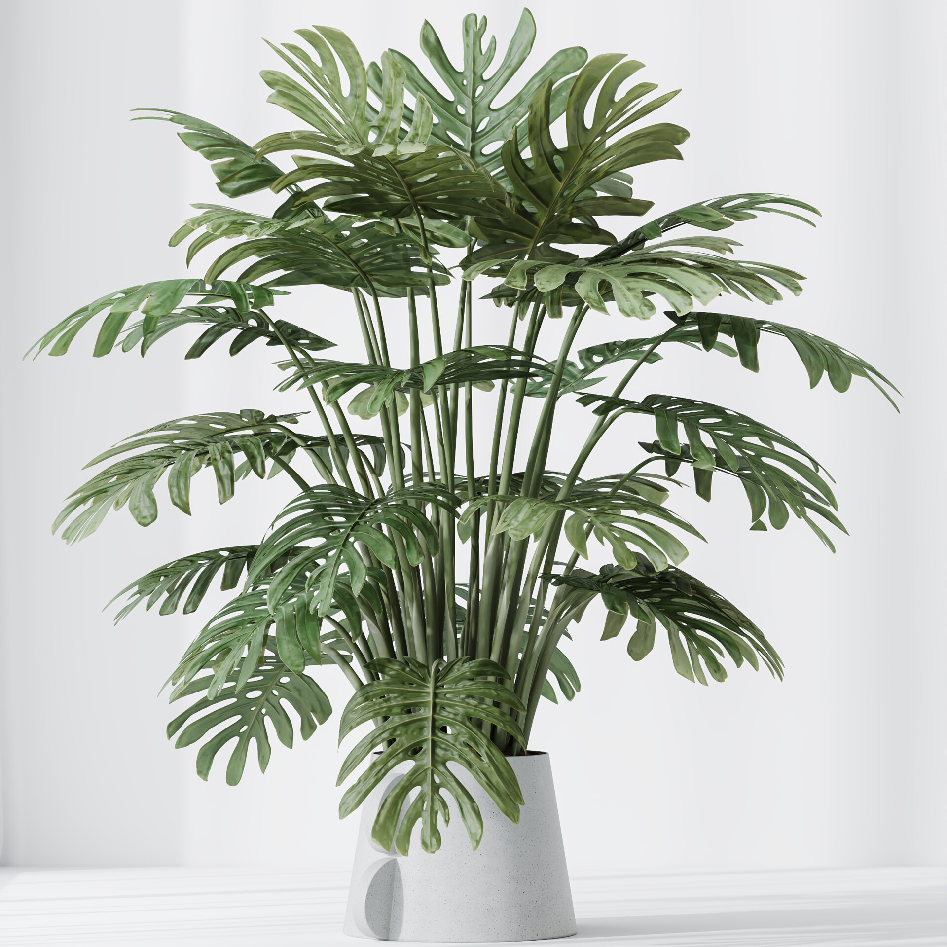 PANDORA Land - HQ HousePlants Elegant Monstera Deliciosa Large Leaf ...