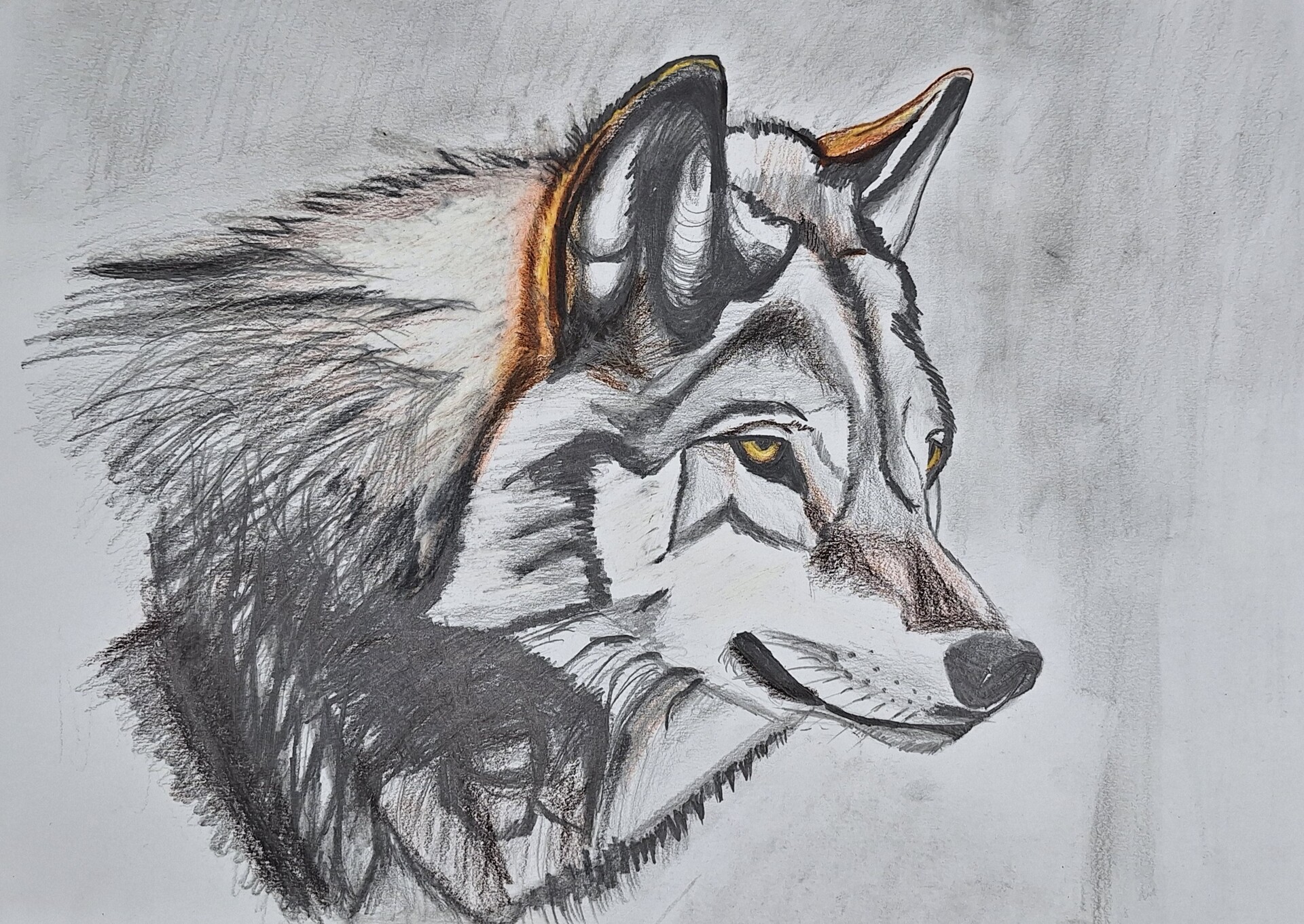 Andy Gomez - Colored Pencils - No Filters...