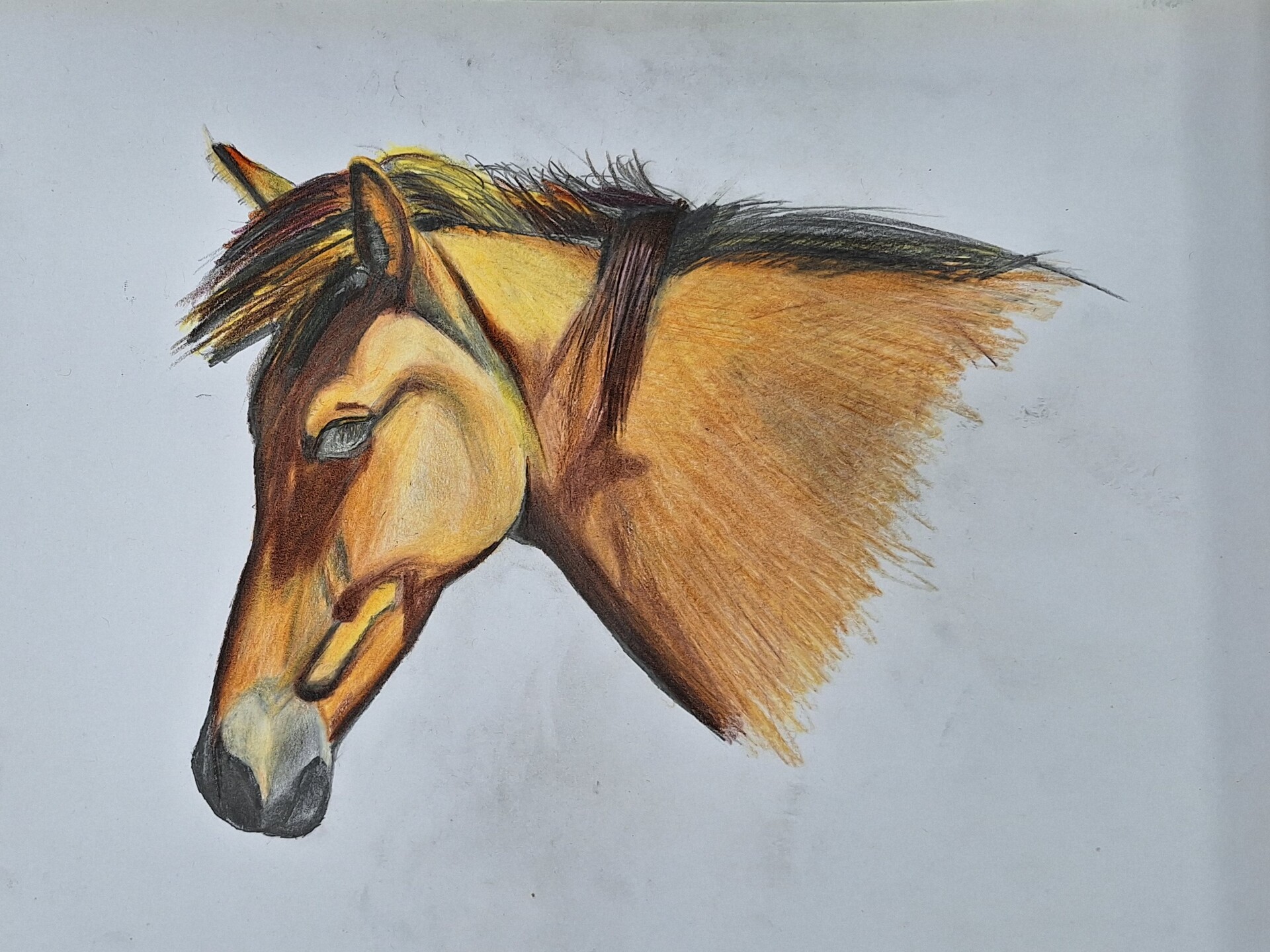 Andy Gomez - Colored Pencils - No Filters...