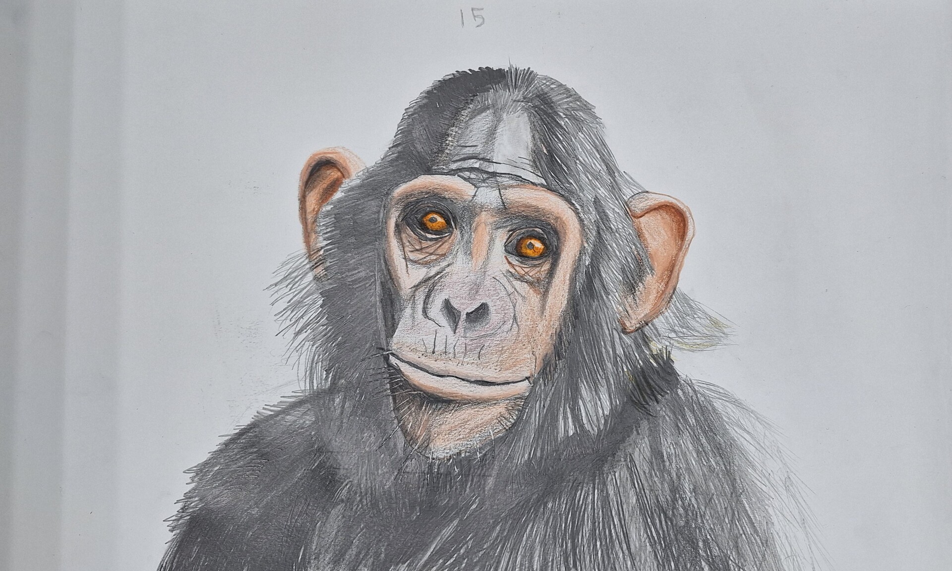 Andy Gomez - Colored Pencils - No Filters...