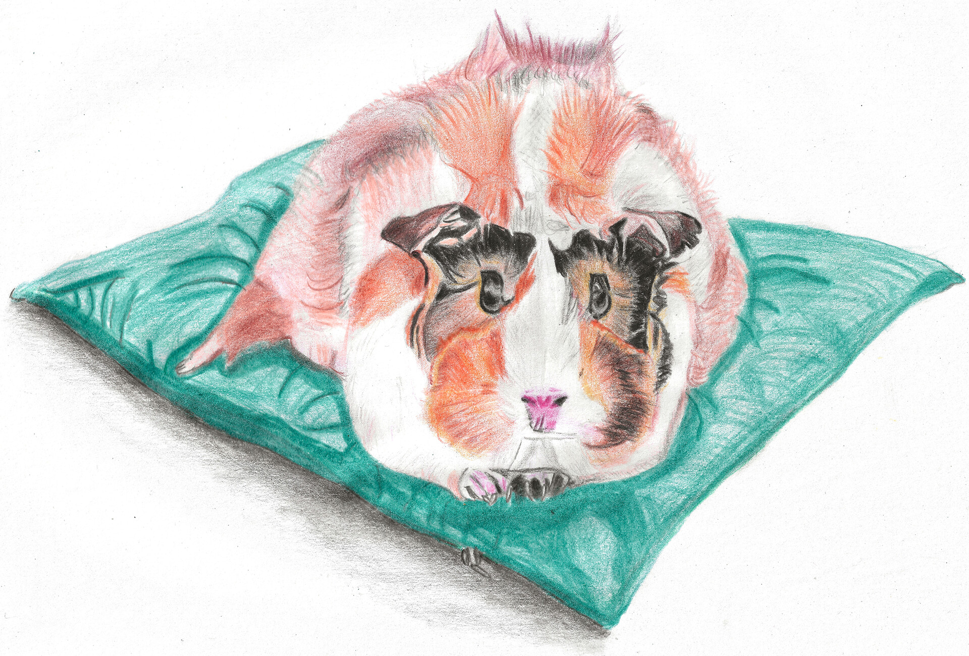 Andy Gomez - Colored Pencils - No Filters...