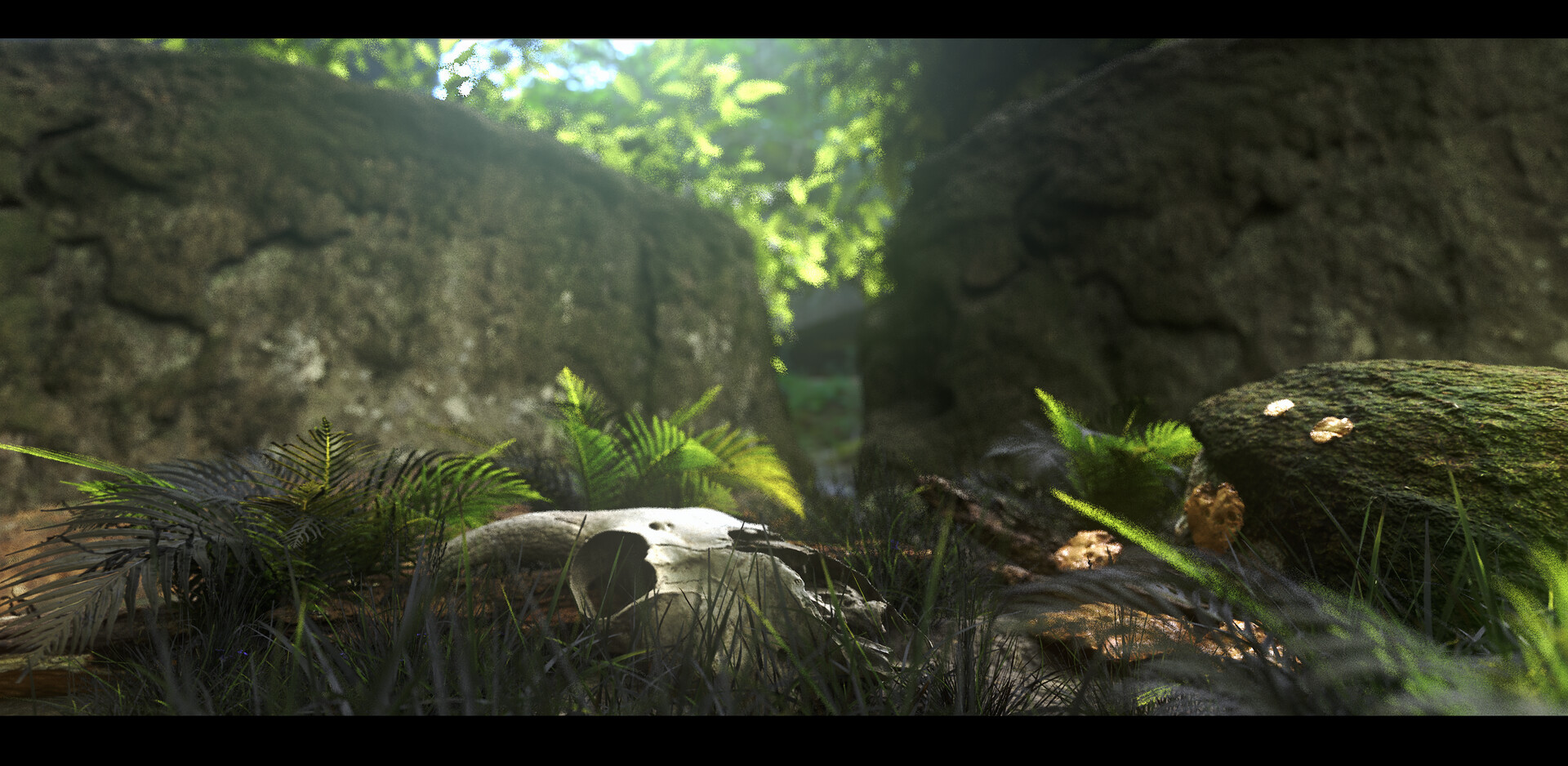 ArtStation - Mistry Of Jungle