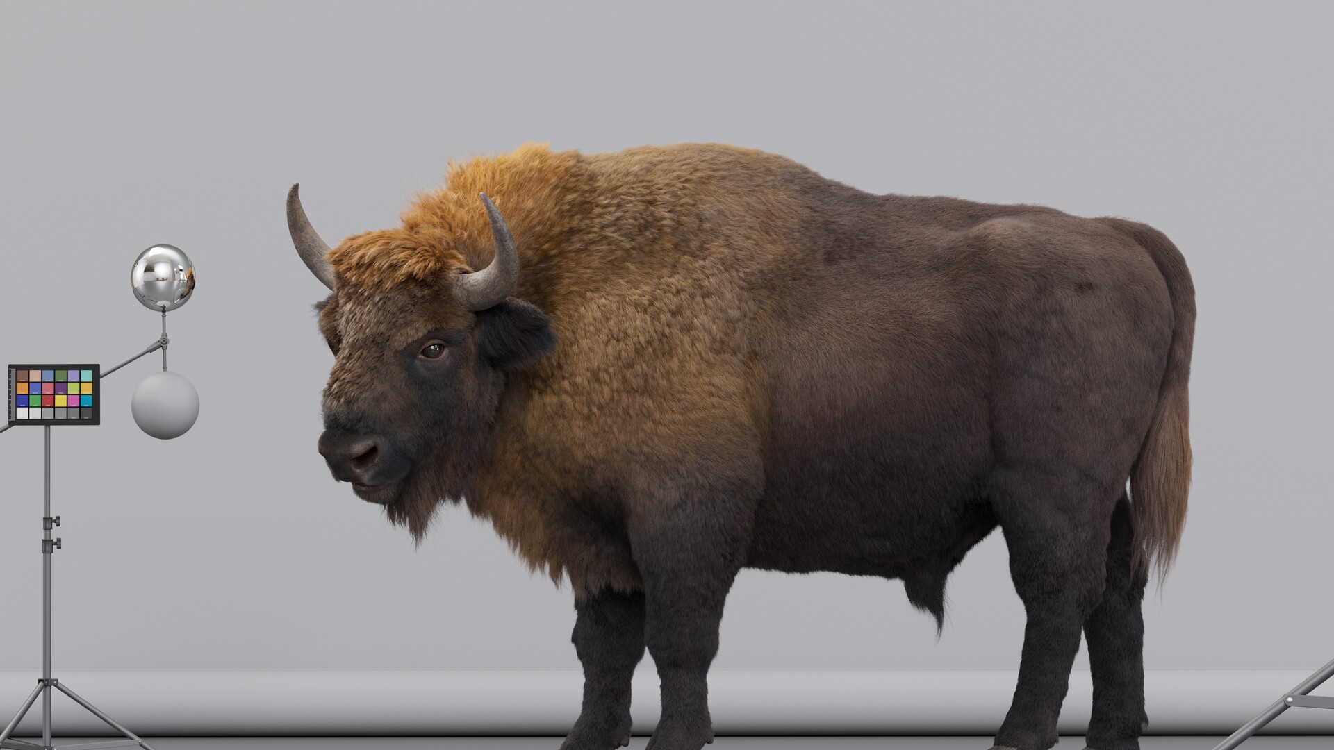 ArtStation - European Bison