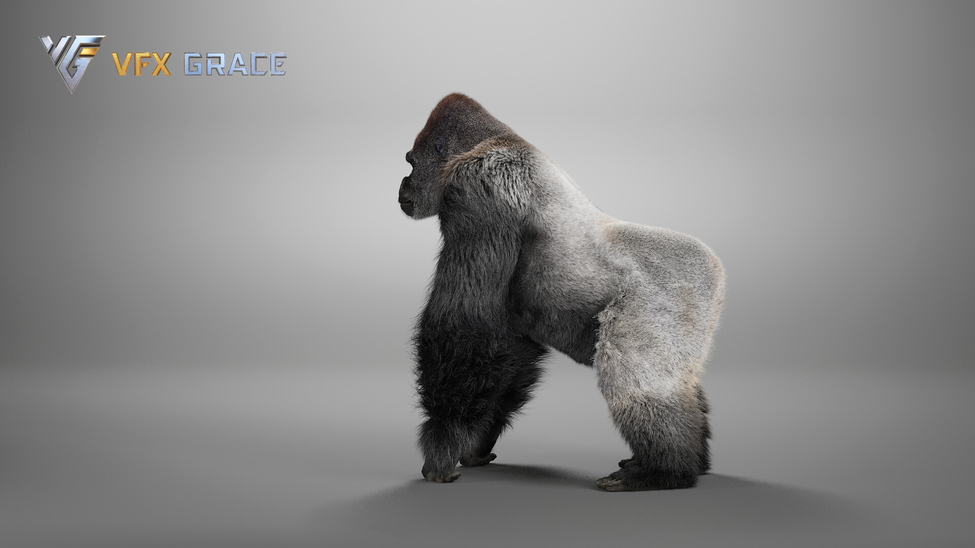 VFX models - Silverback Gorilla Animation - UE Character Asset