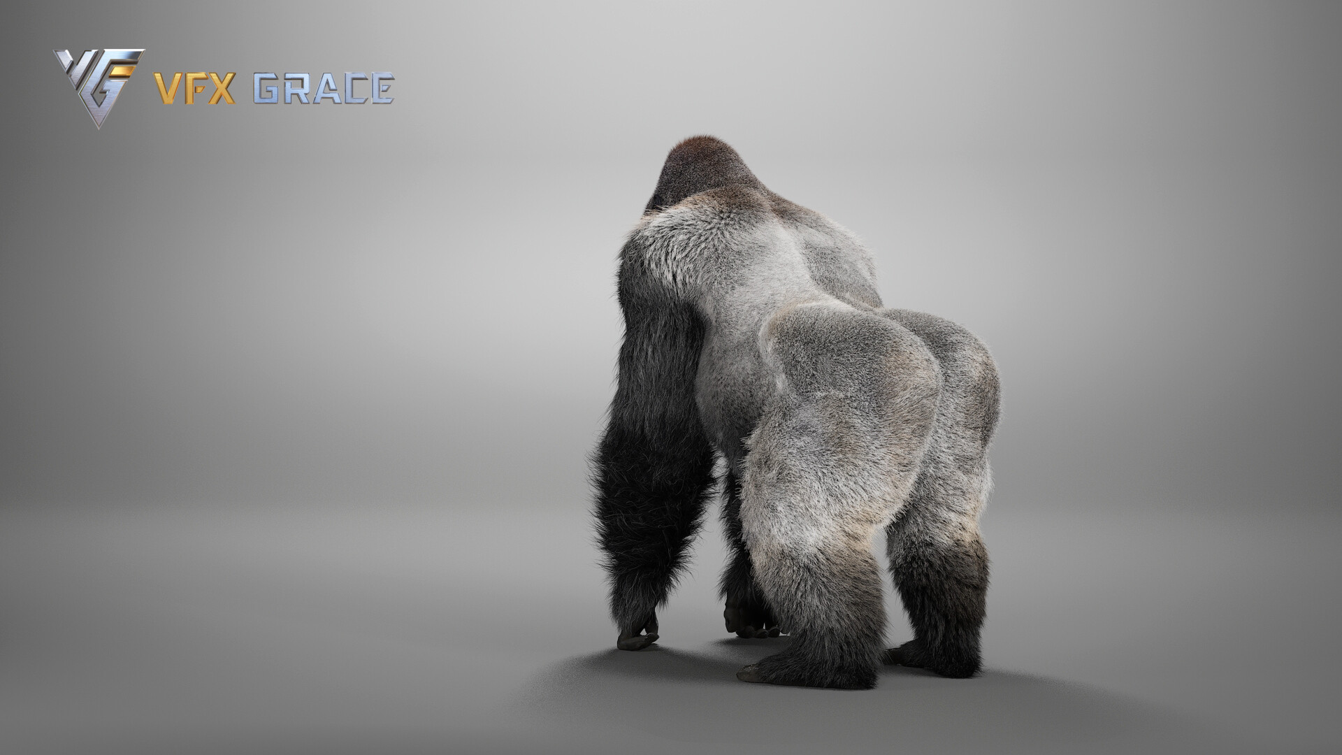 VFX models - Silverback Gorilla Animation - UE Character Asset