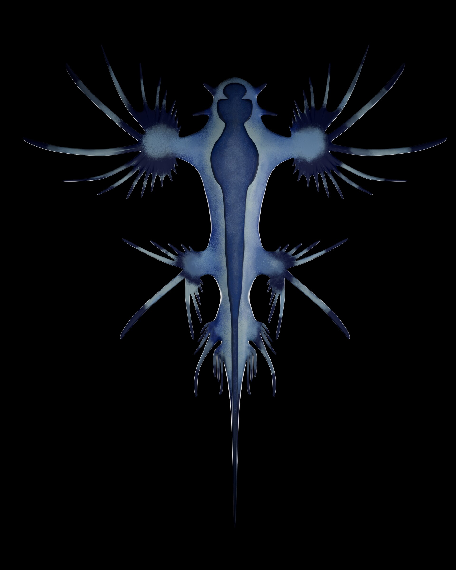 Tomas Jimenez Nicolas - Glaucus Atlanticus (Blue Sea Dragon)