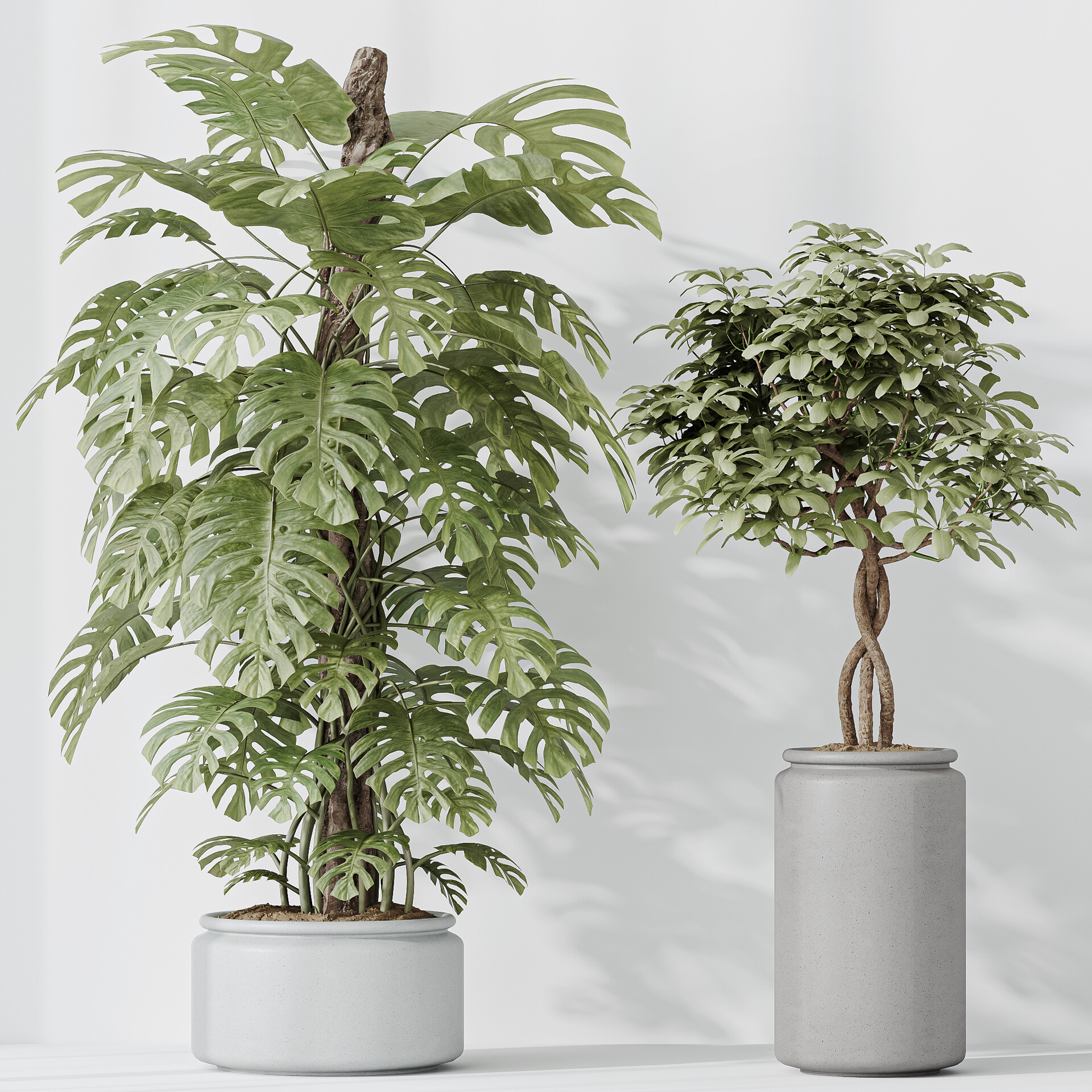 PANDORA Land - Indoor Plants Set 42