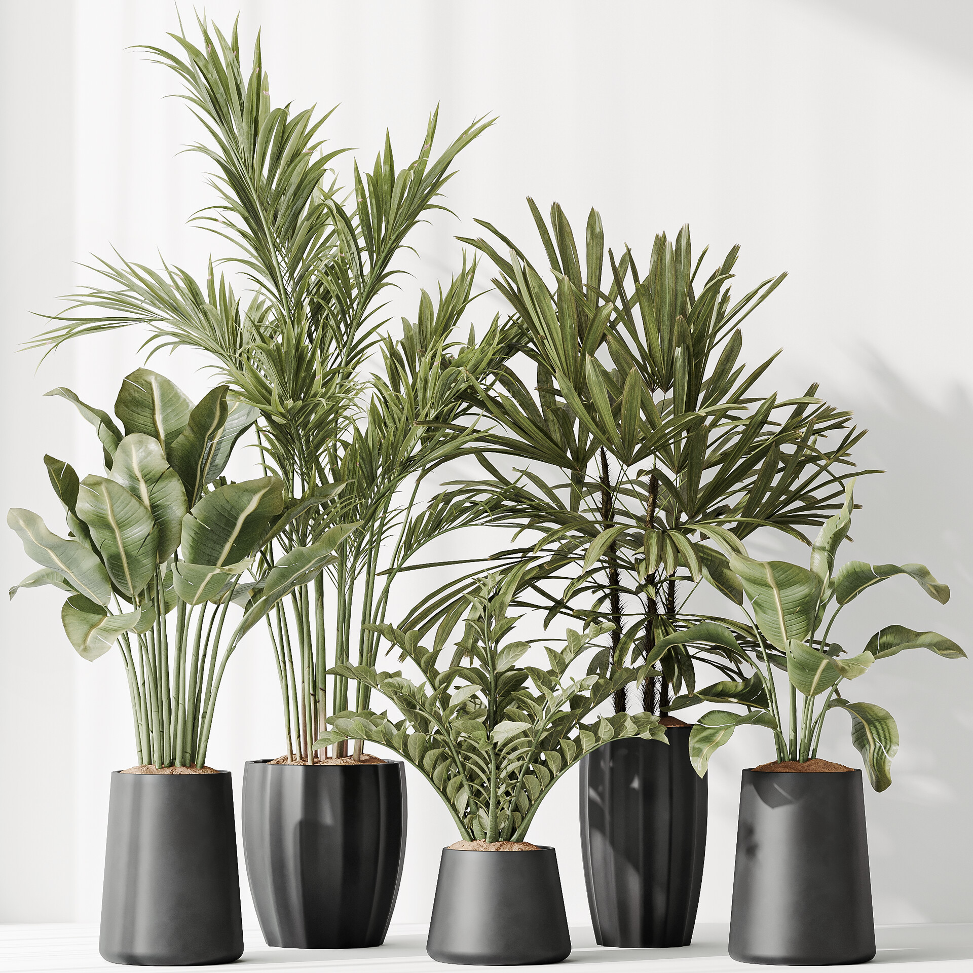 PANDORA Land - Indoor plant set 40