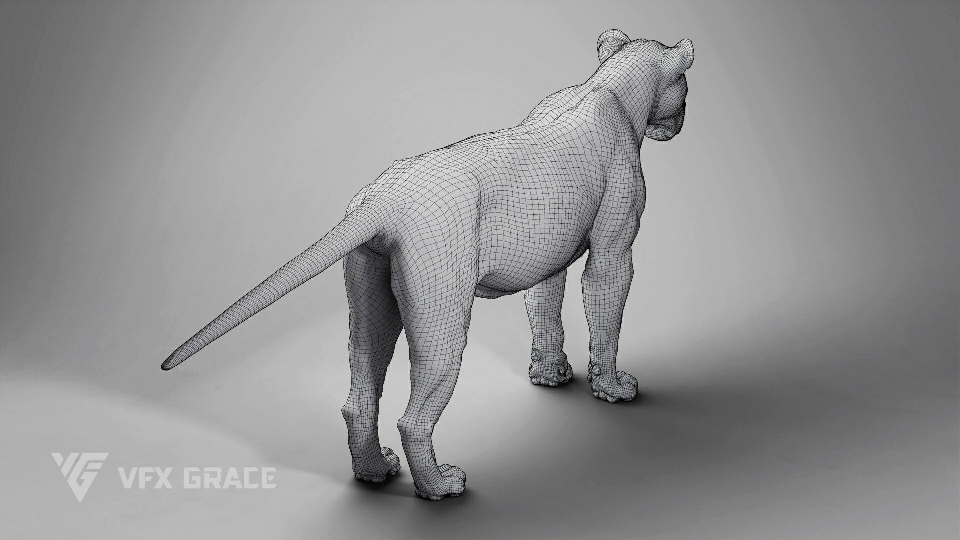 VFX models - Lion - MAYA Character Asset