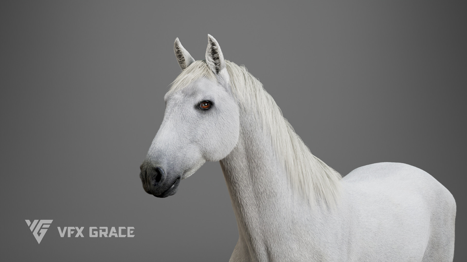 VFX models - Horse - MAYA Character Asset