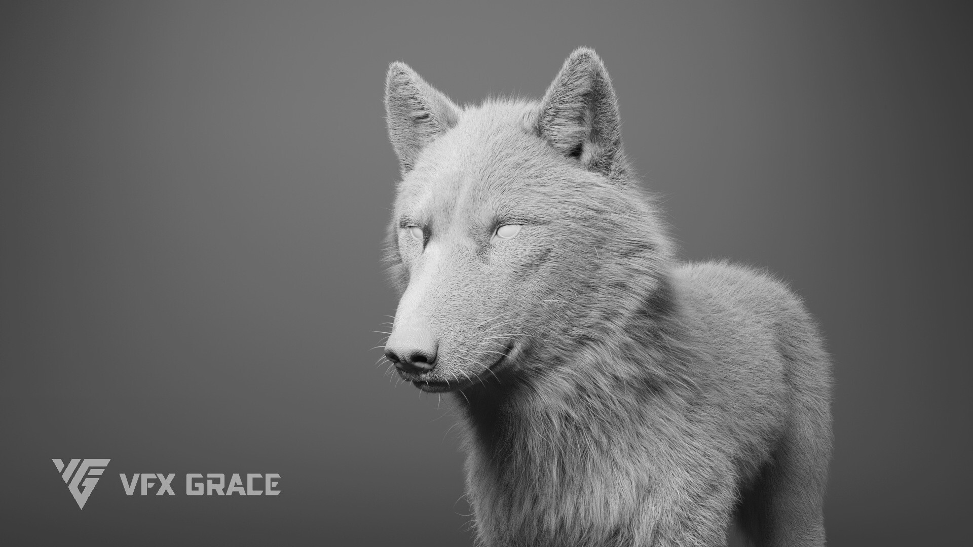 VFX models - Wolf Animated - MAYA Character Asset