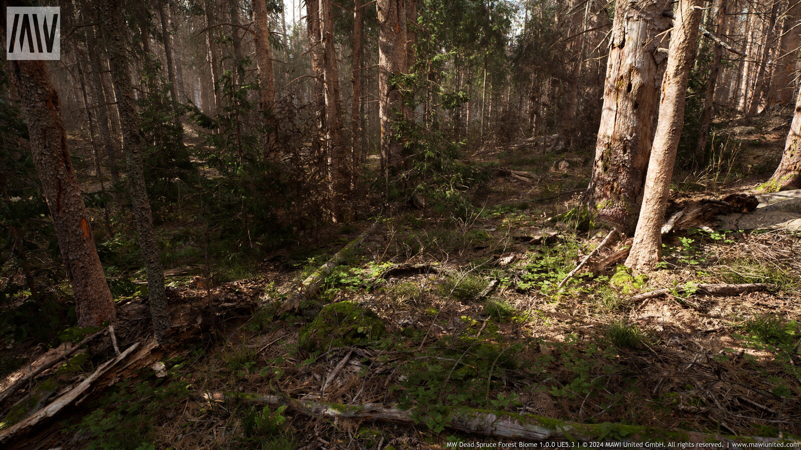 MAWI United - UE5.3 Dead Spruce Forest Biome